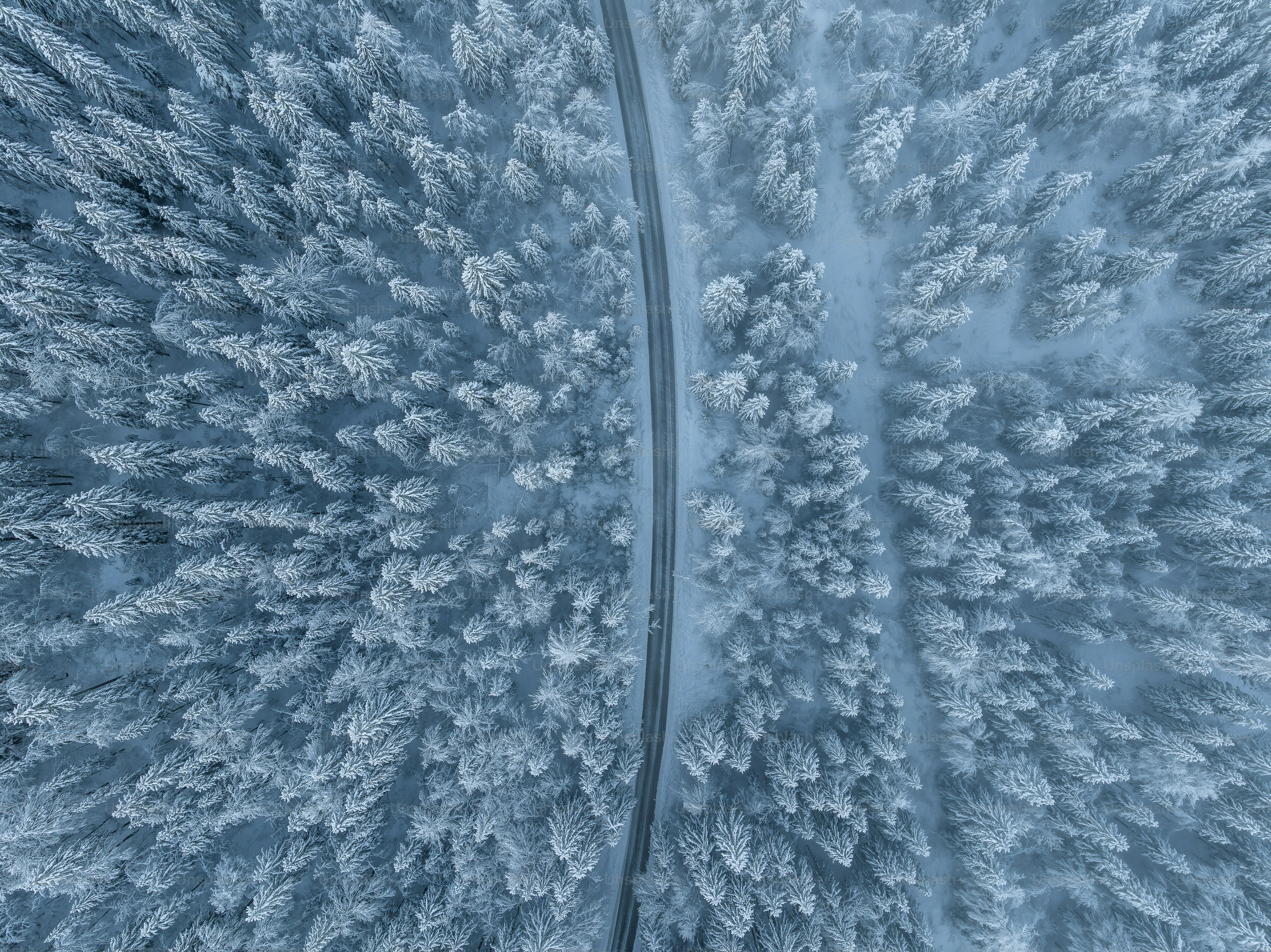 Light Color Background Pictures | Download Free Images on Unsplash