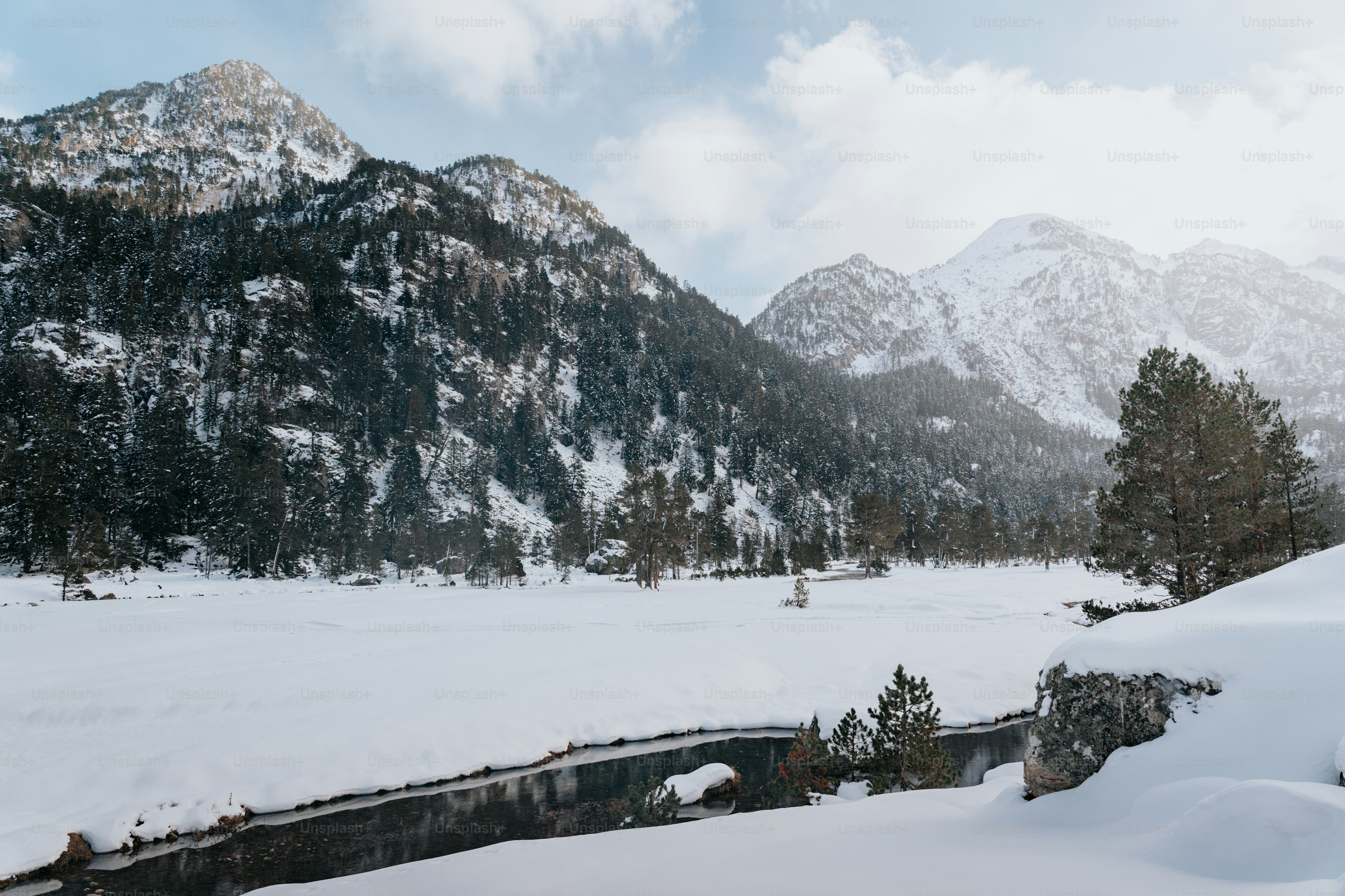 350+ Snowing Pictures | Download Free Images on Unsplash