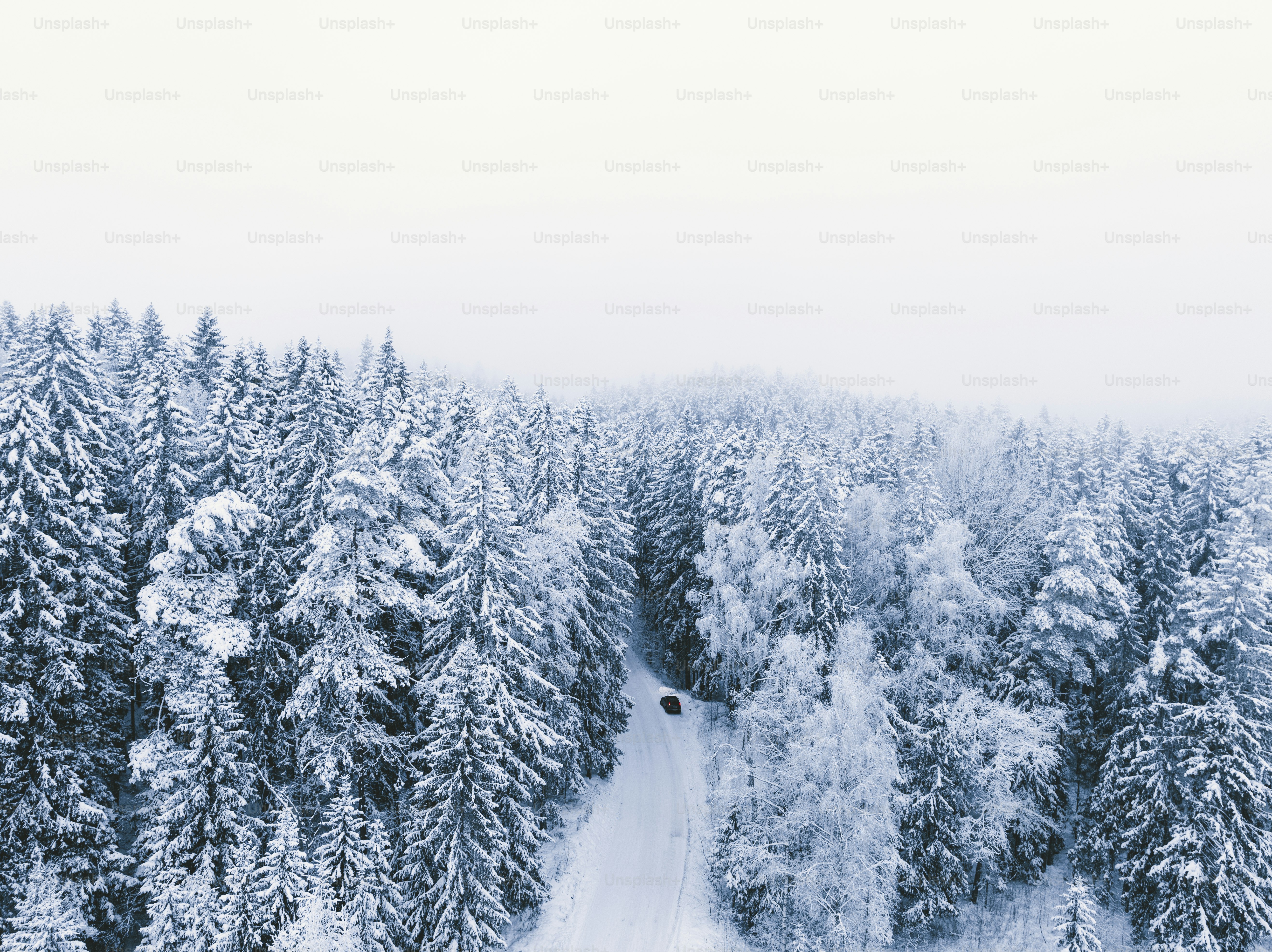 An aerial view of a road surrounded by snow covered trees photo – Car ...