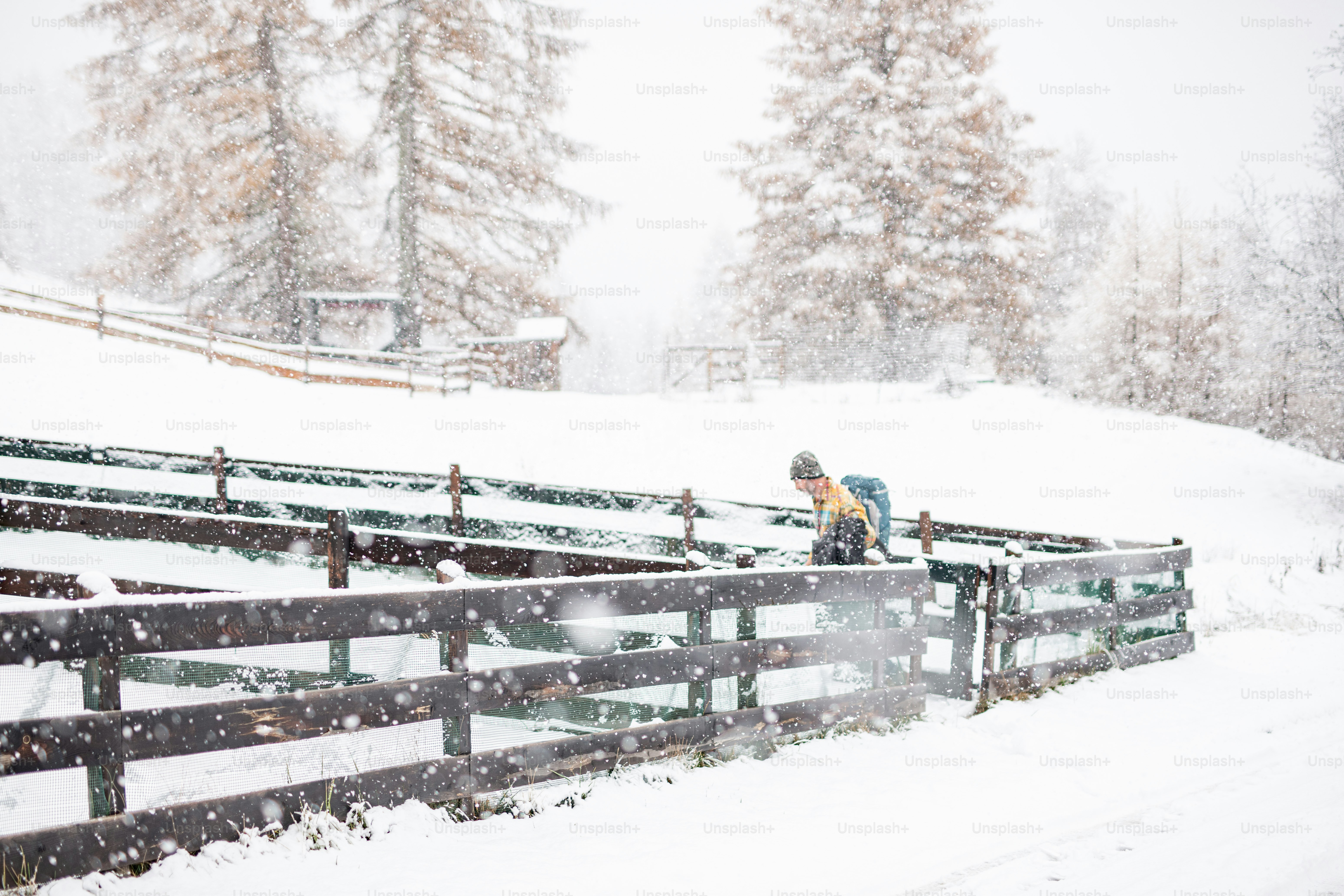 30,000+ Snow Falling Pictures | Download Free Images on Unsplash