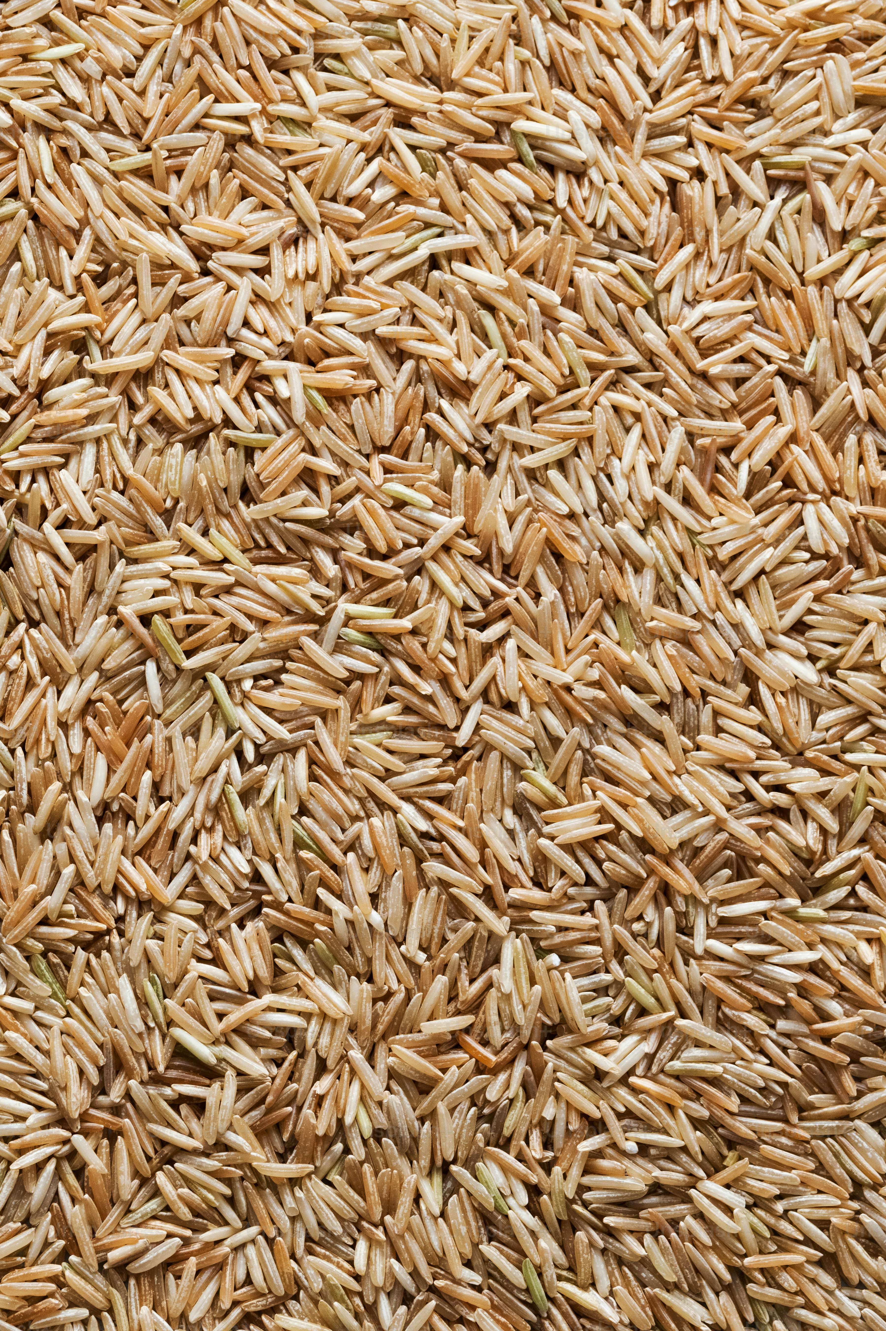 A close up of a pile of brown rice photo – Grains Image on Unsplash
