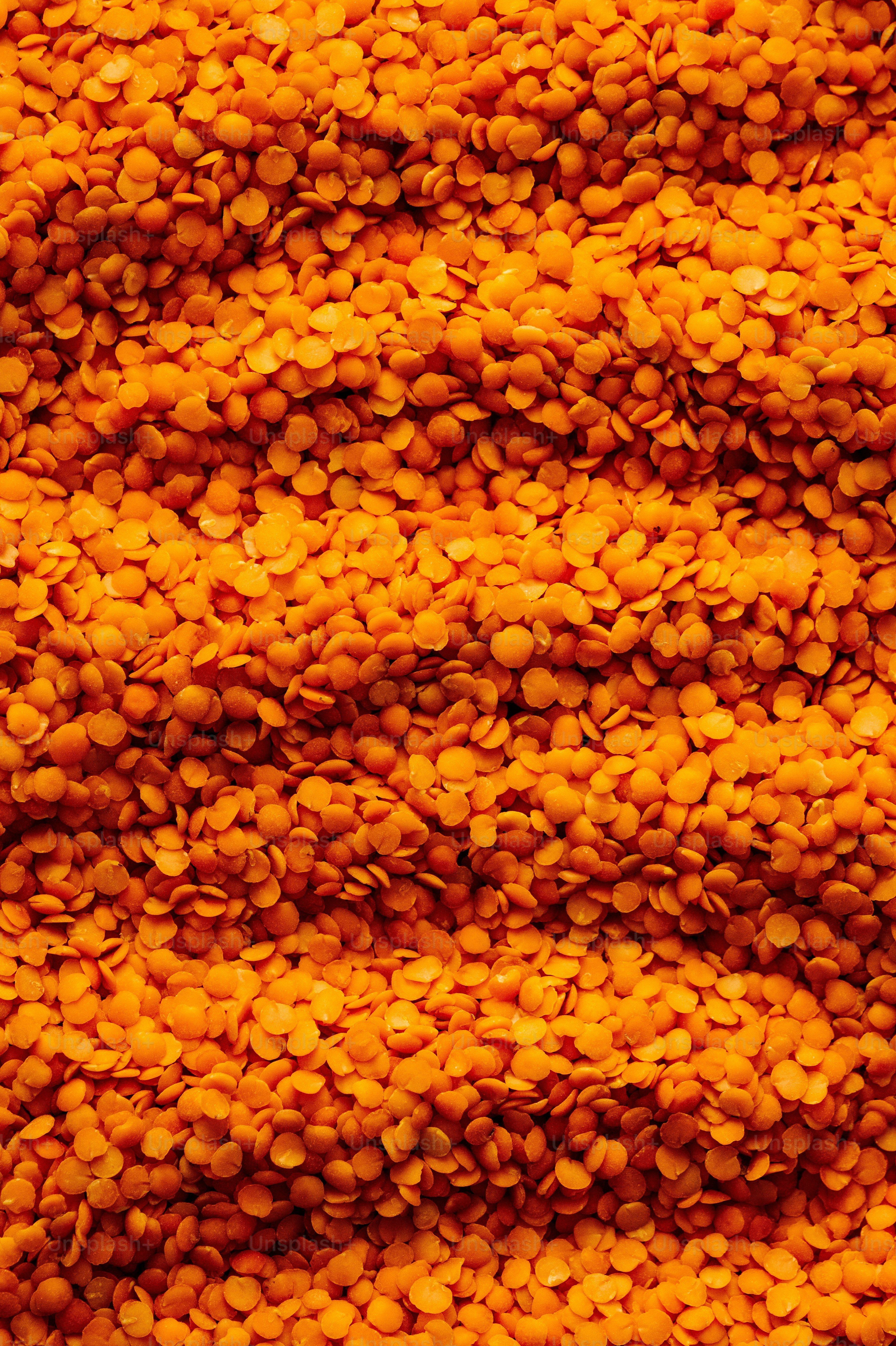 A close up of a bunch of yellow lentils photo – Yellow color Image on ...