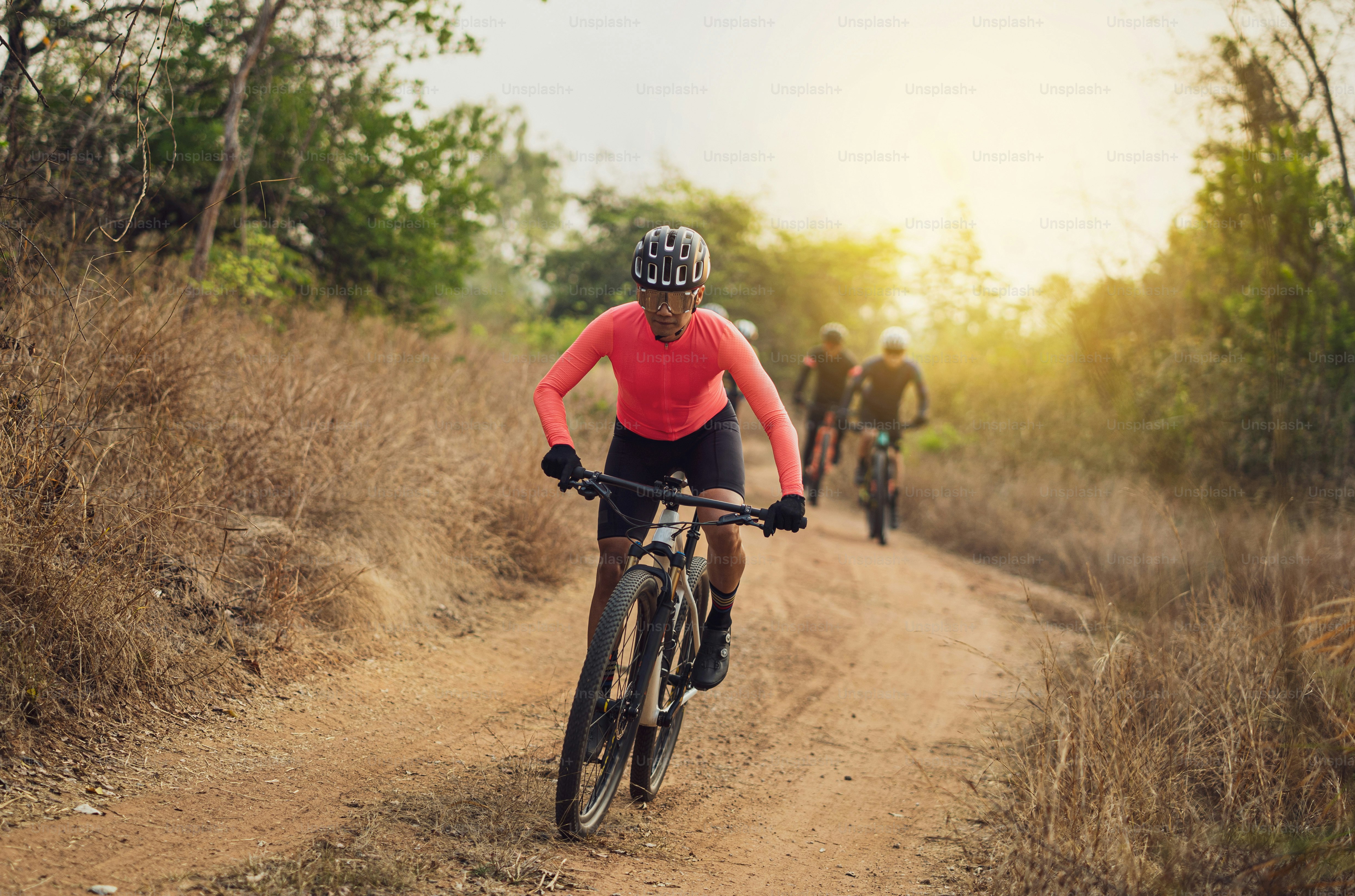 Group of Asian cyclists, they cycle through rural and forest roads ...