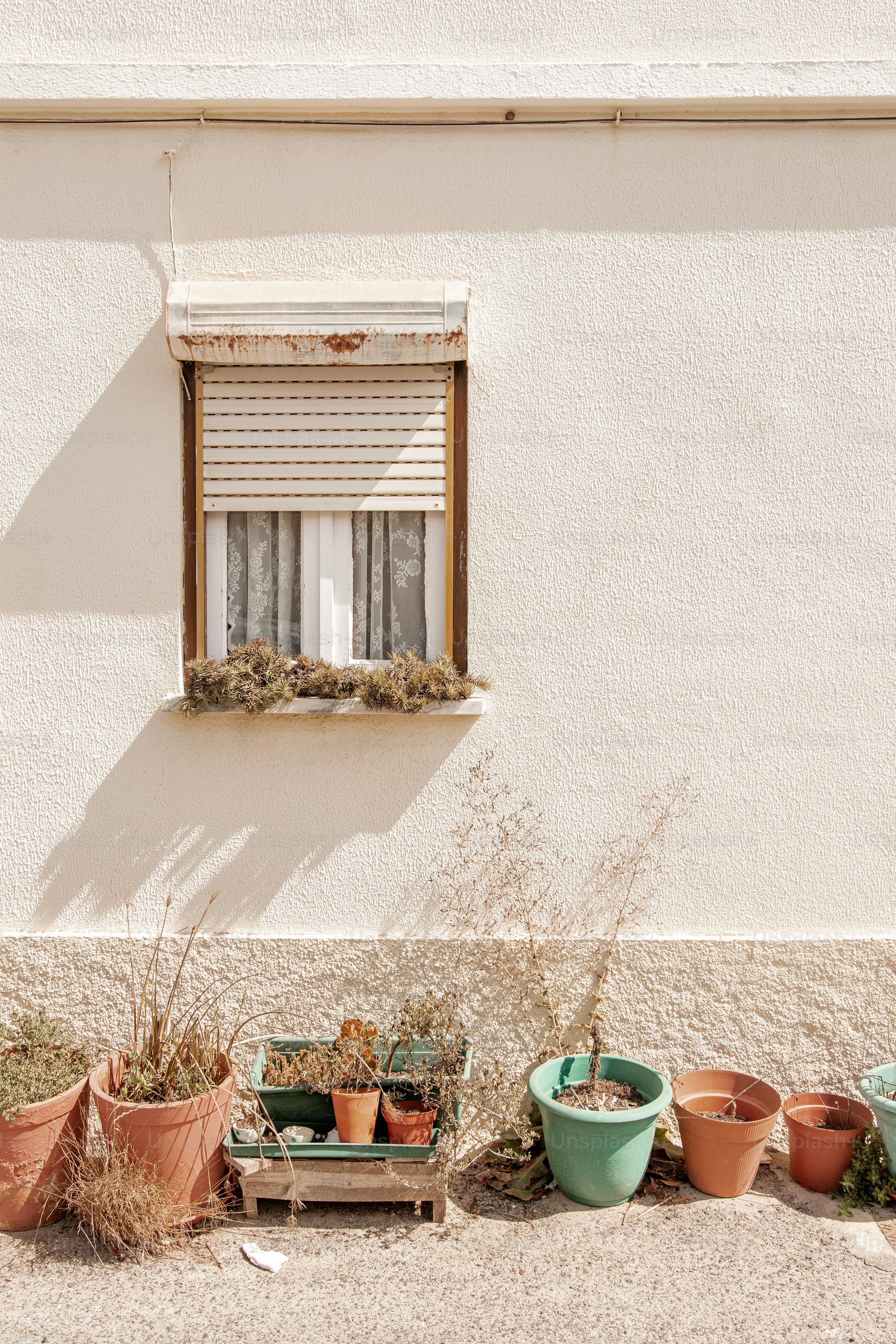 House Wall Pictures | Download Free Images on Unsplash