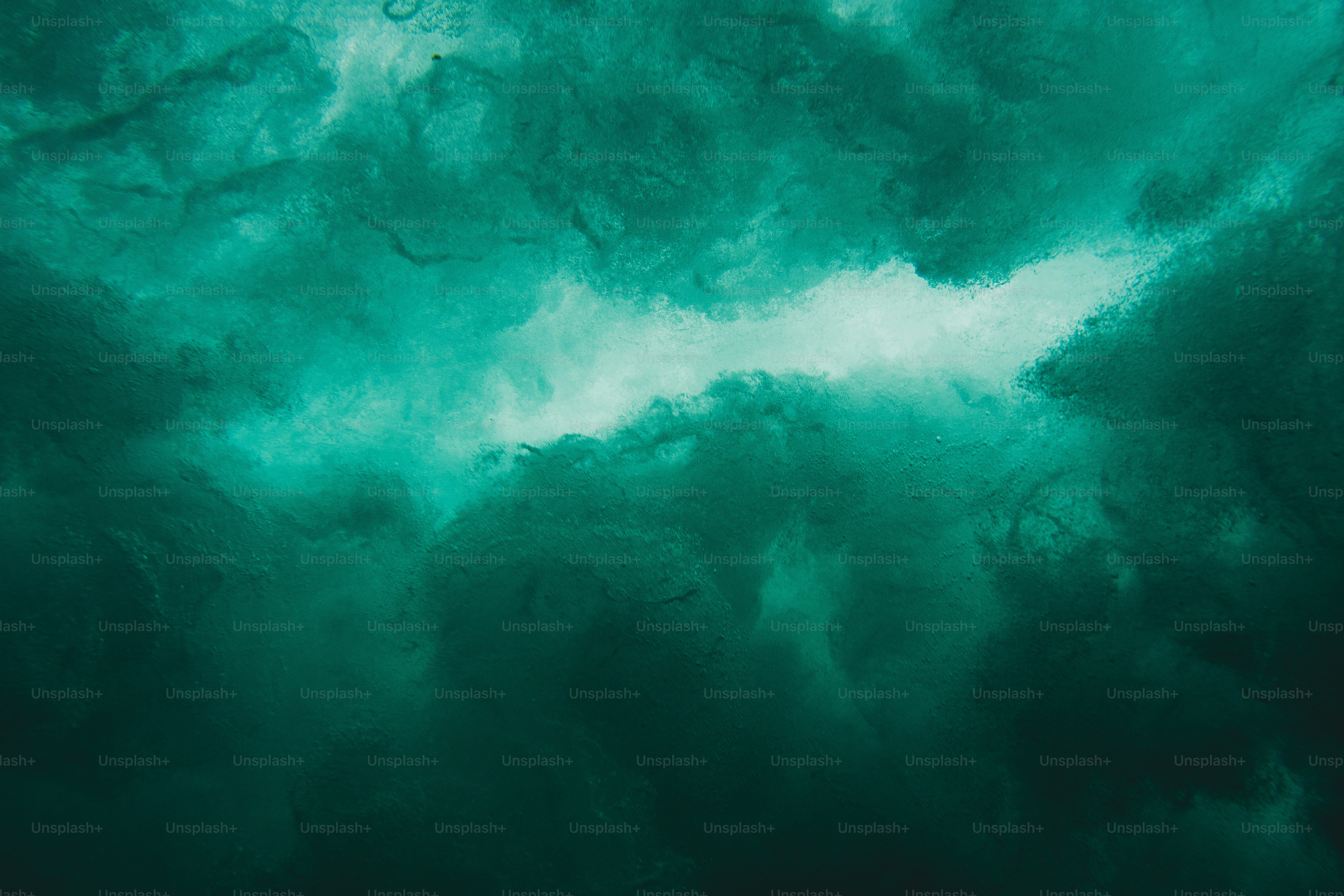 Deep Green Pictures | Download Free Images on Unsplash