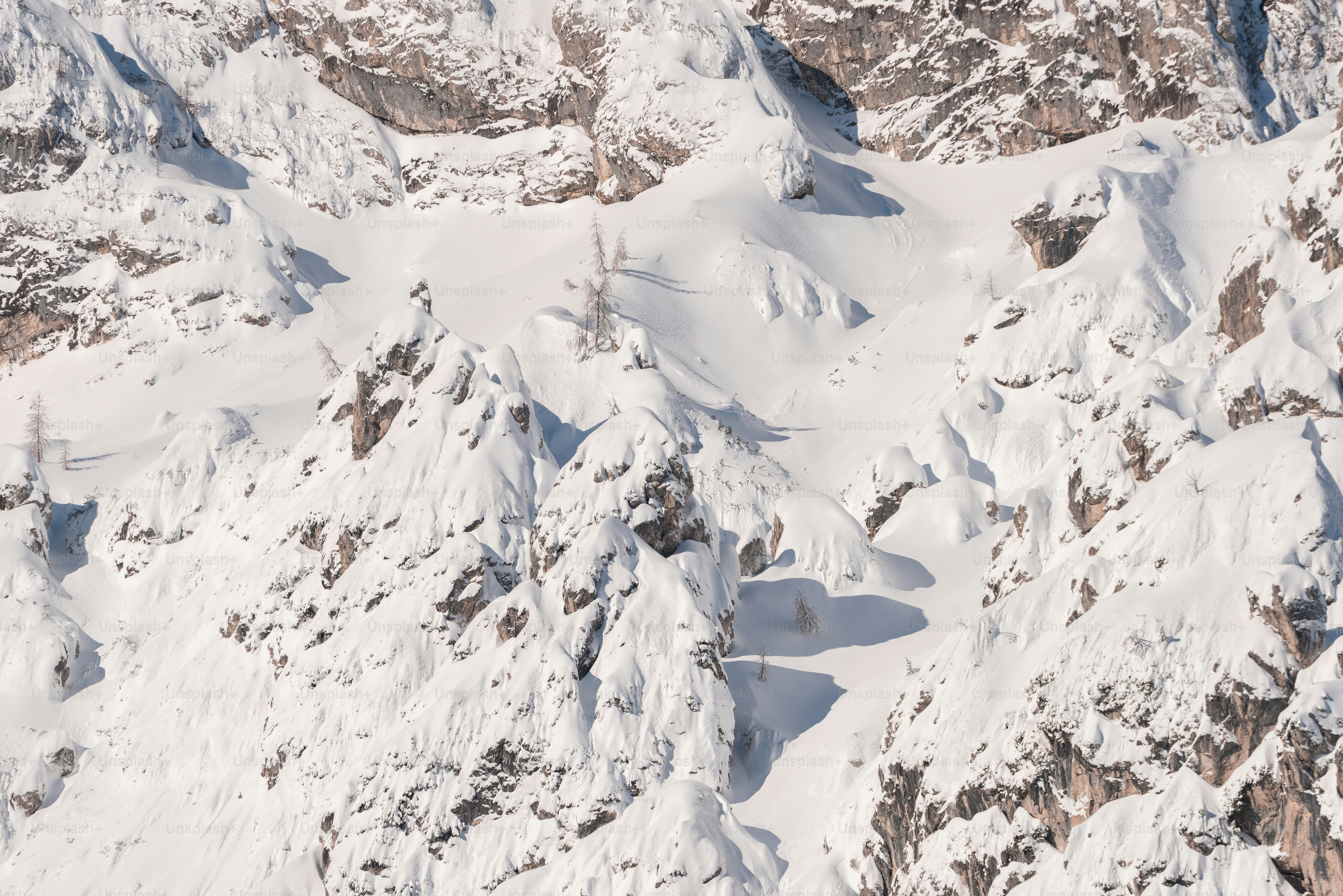 A mountain covered in snow with trees in the foreground photo – Snow ...