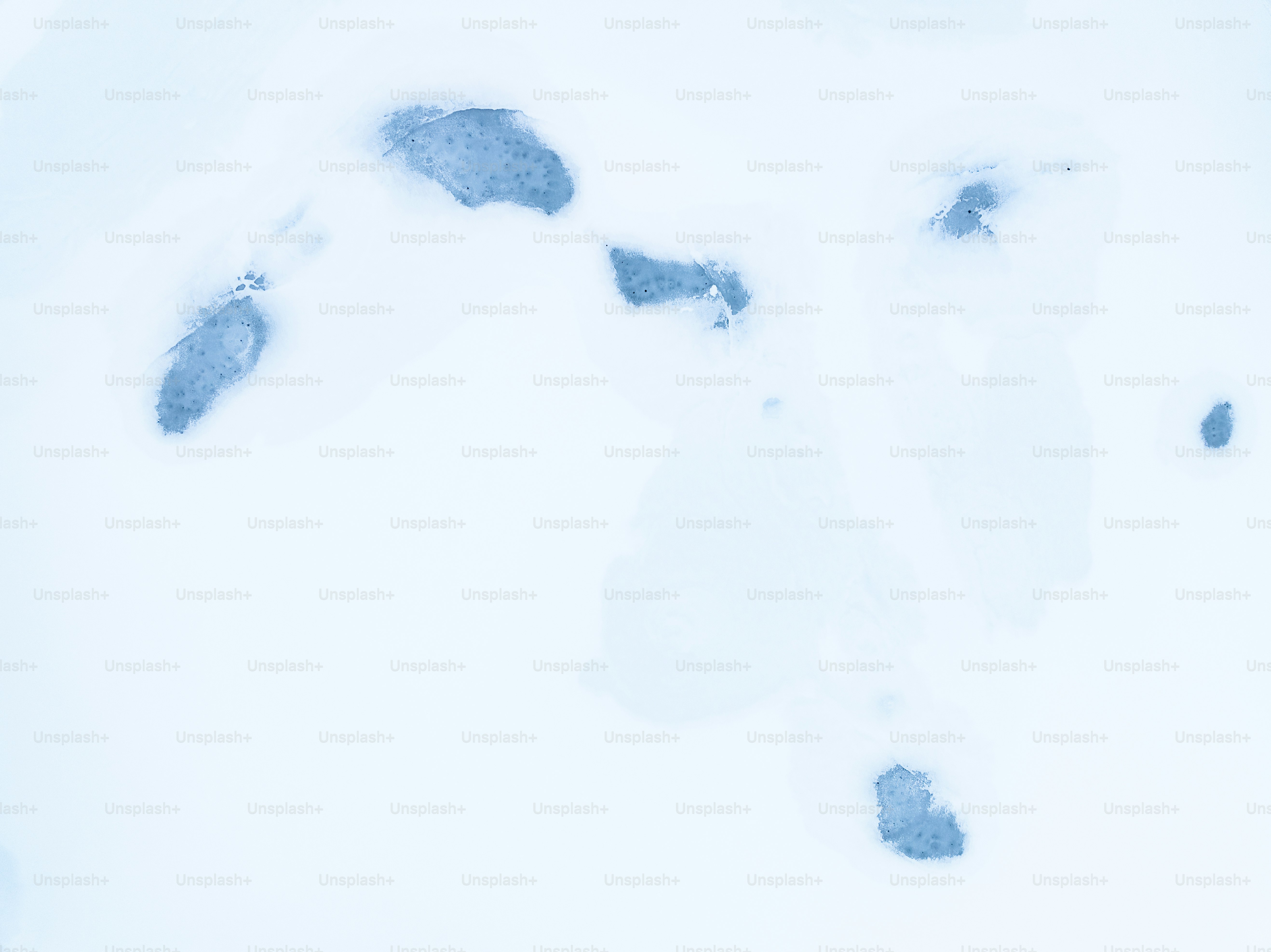 50,000+ White Snow Pictures | Download Free Images on Unsplash