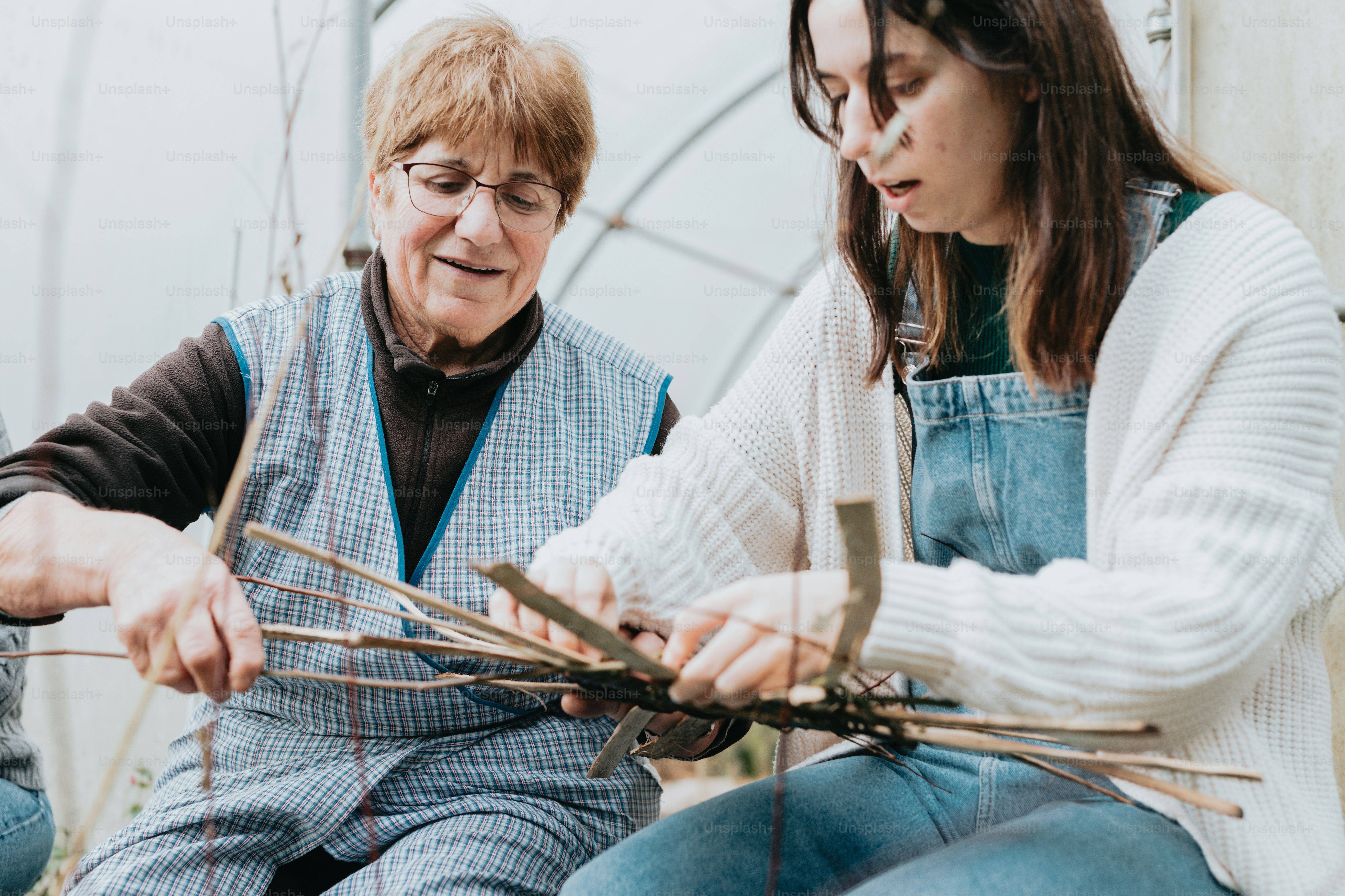 A woman and an older woman working together photo – Old age Image on ...