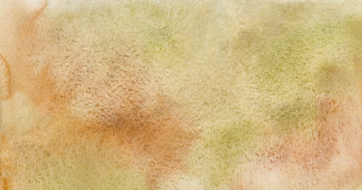 녹색과 노란색 배경의 수채화 그림 사진 Unsplash의 배경 이미지