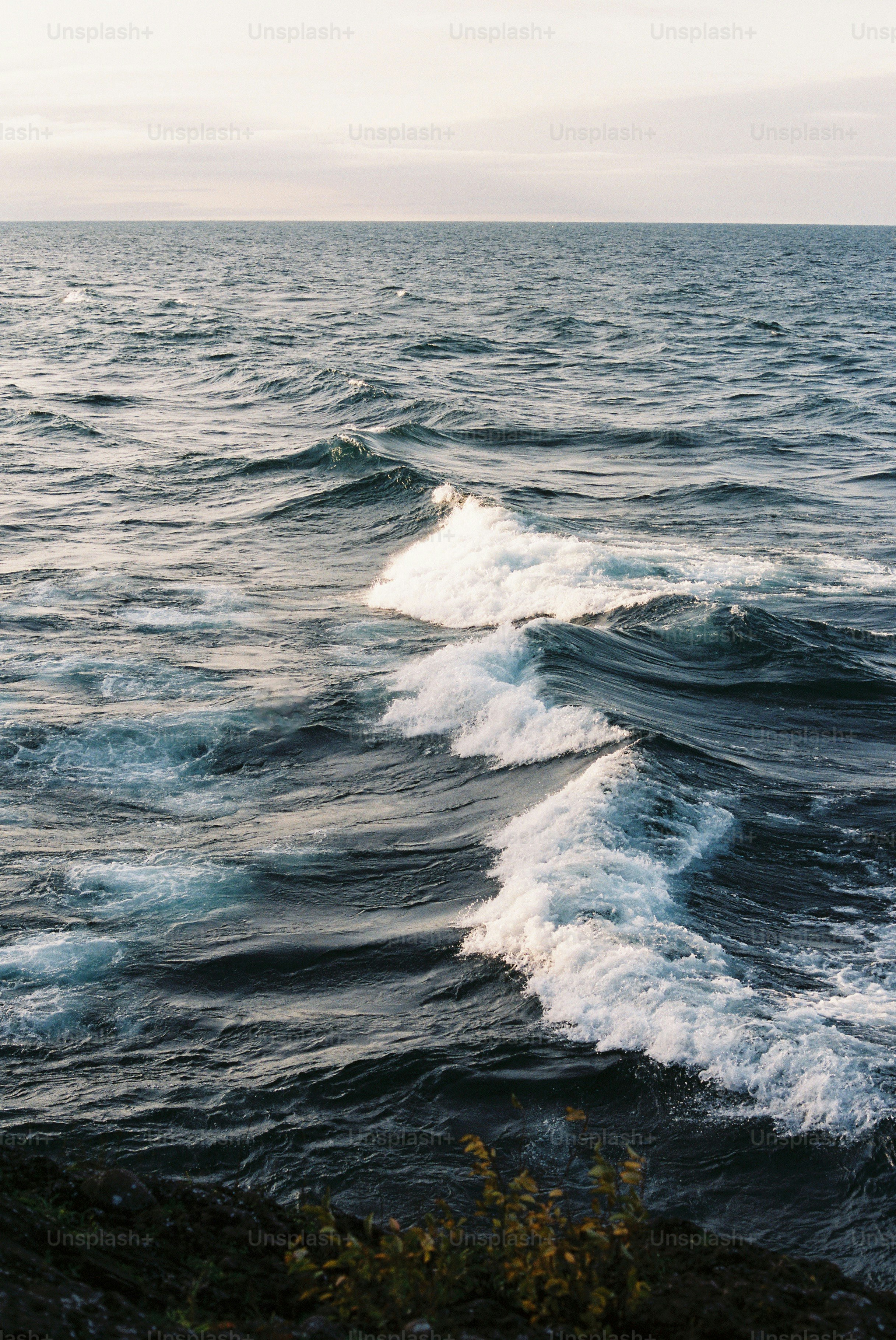 Sea Tumblr Backgrounds