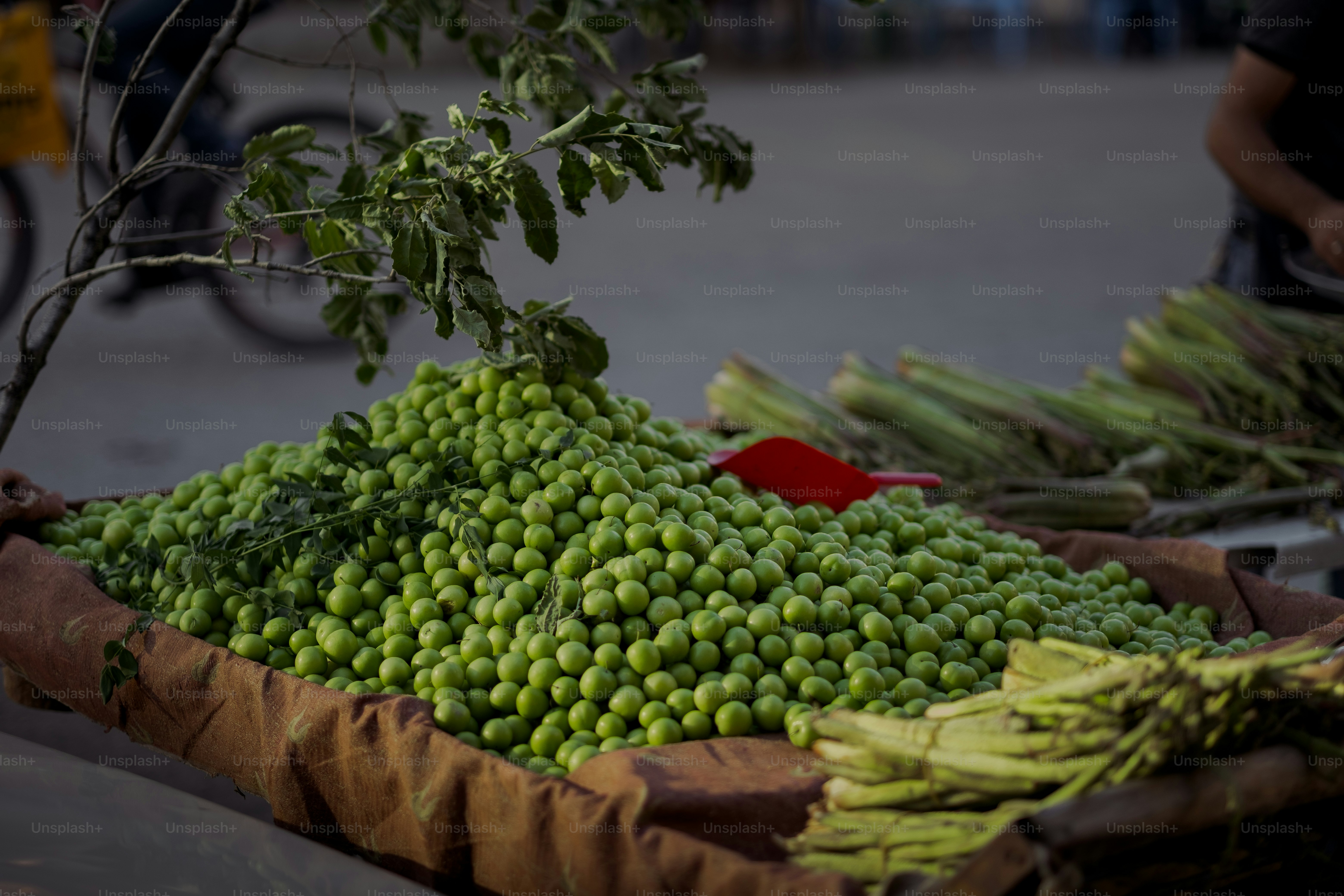 Green Plum Pictures | Download Free Images on Unsplash