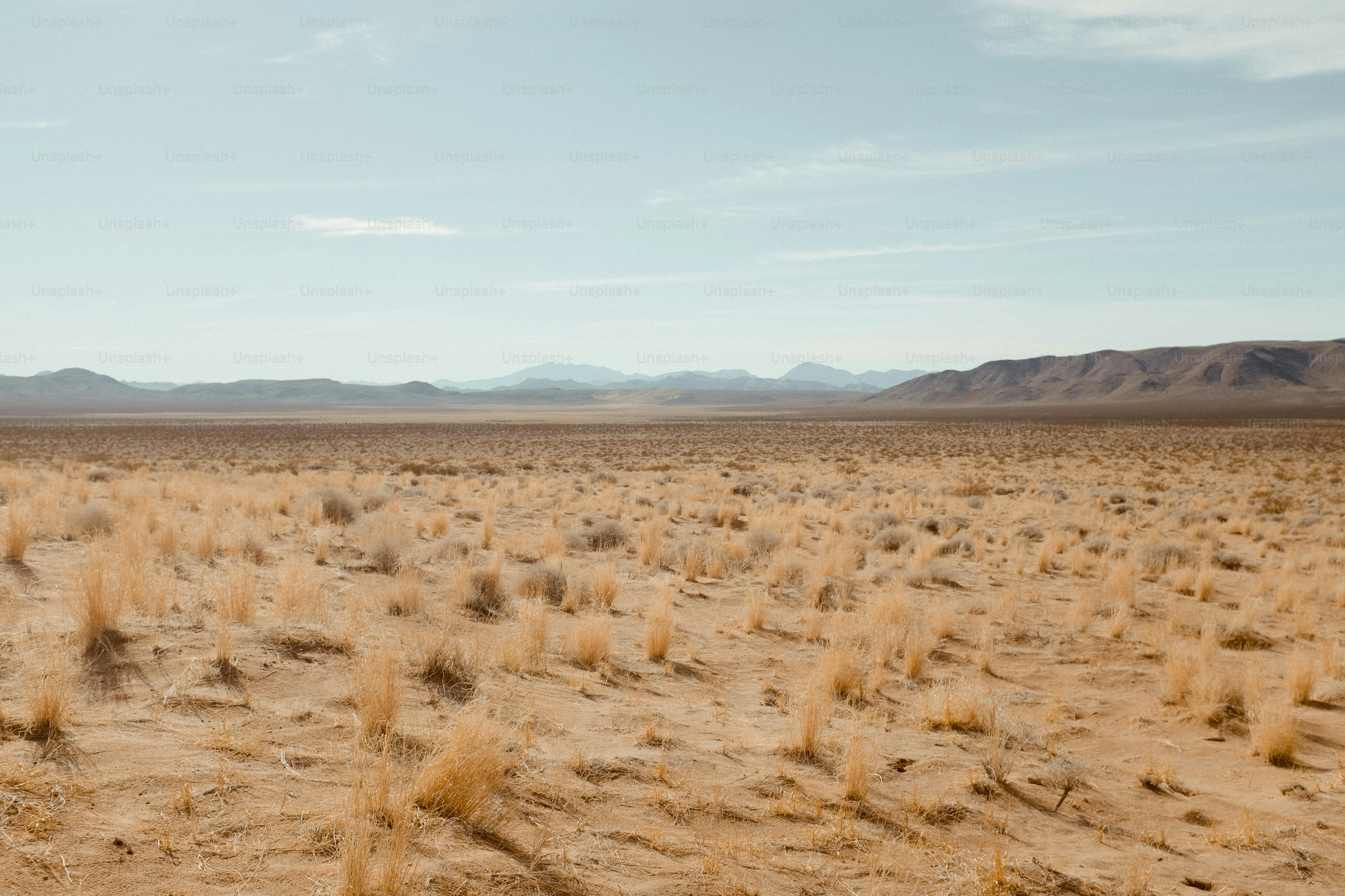 A field of dry grass with mountains in the background photo – Desert ...