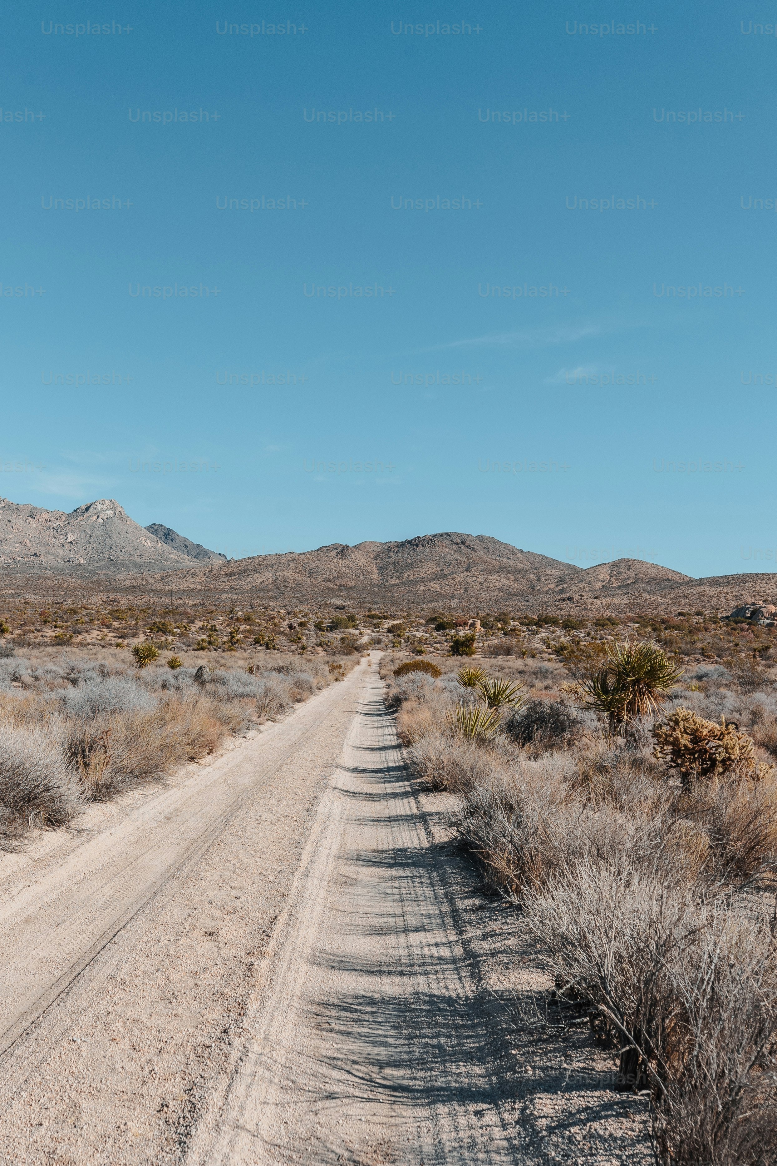 Un chemin de terre au milieu d’un désert photo – Image de La nature sur ...