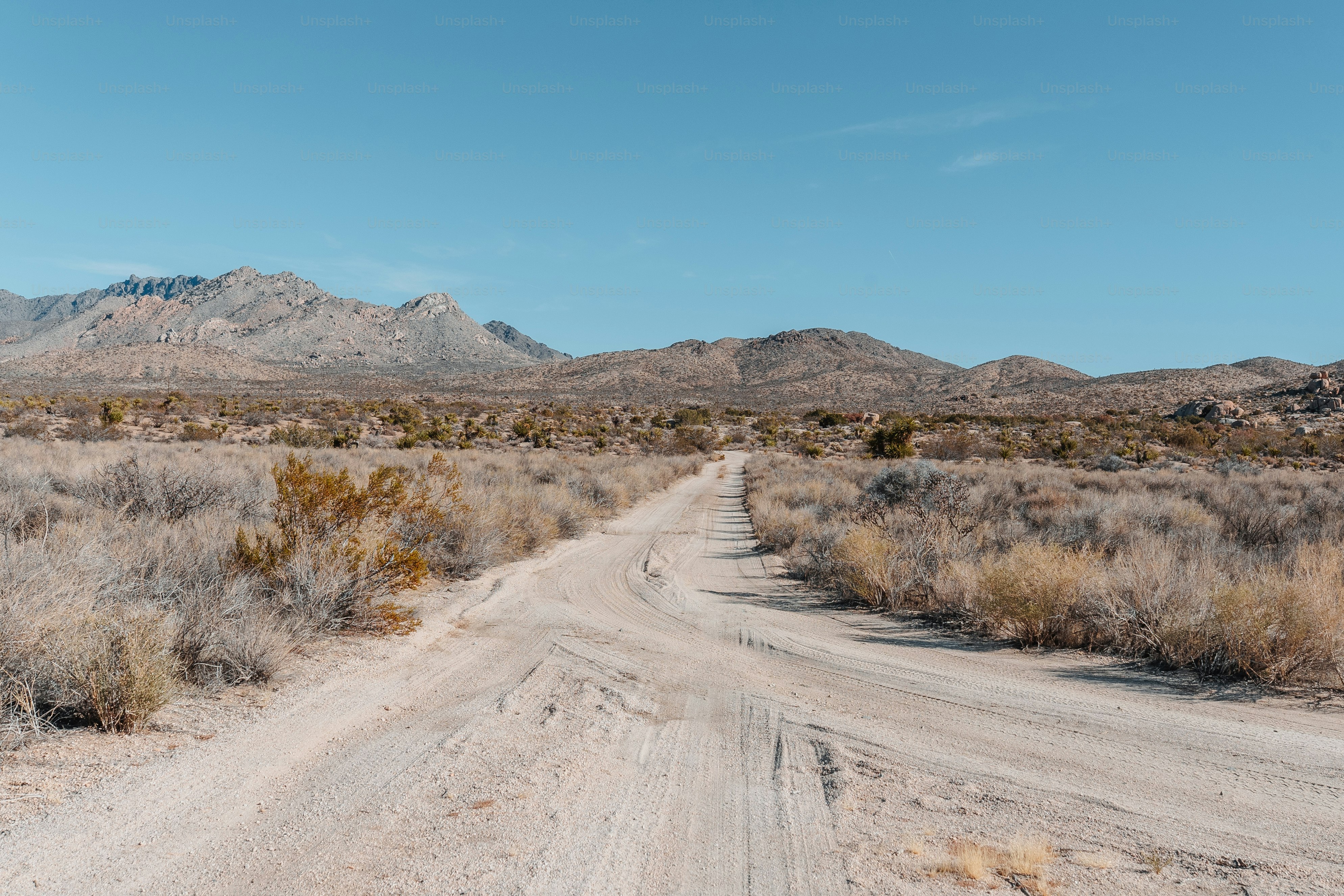 A dirt road in the middle of a desert photo – Mojave desert Image on ...