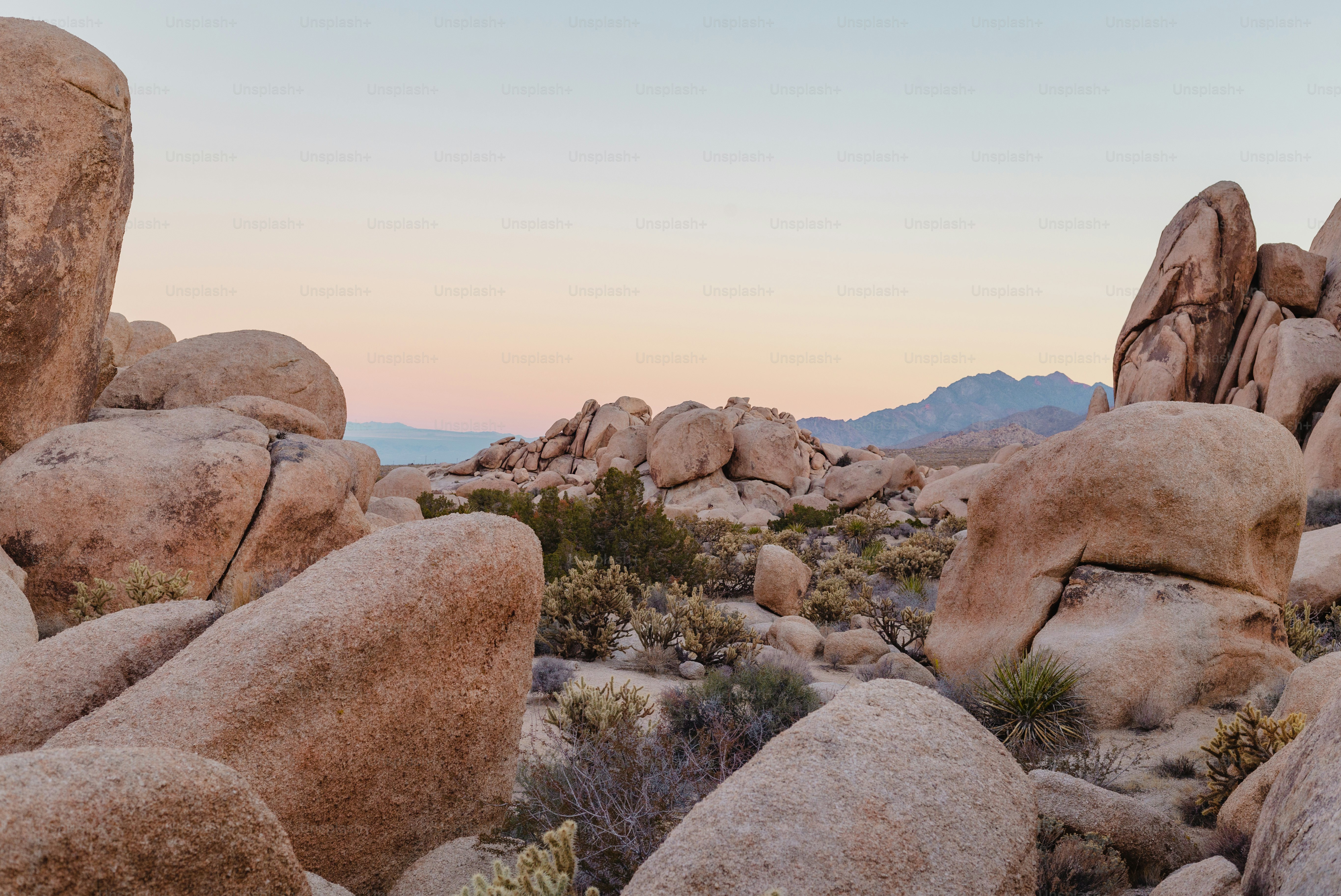 A desert with large rocks and plants in the foreground photo – Mojave ...