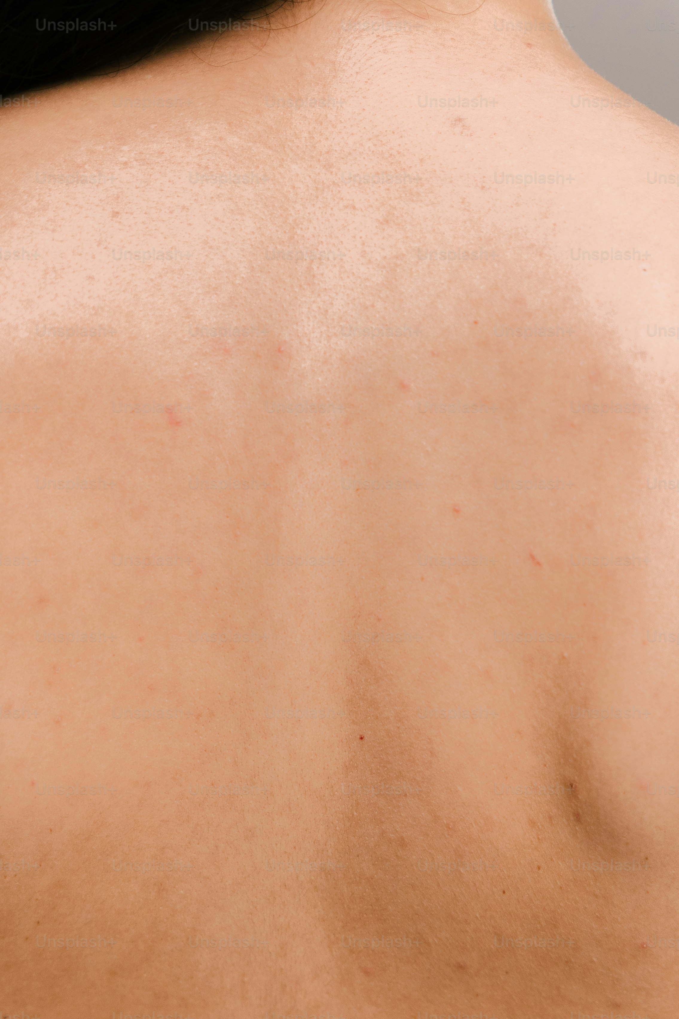 100+ Back Pictures | Download Free Images on Unsplash