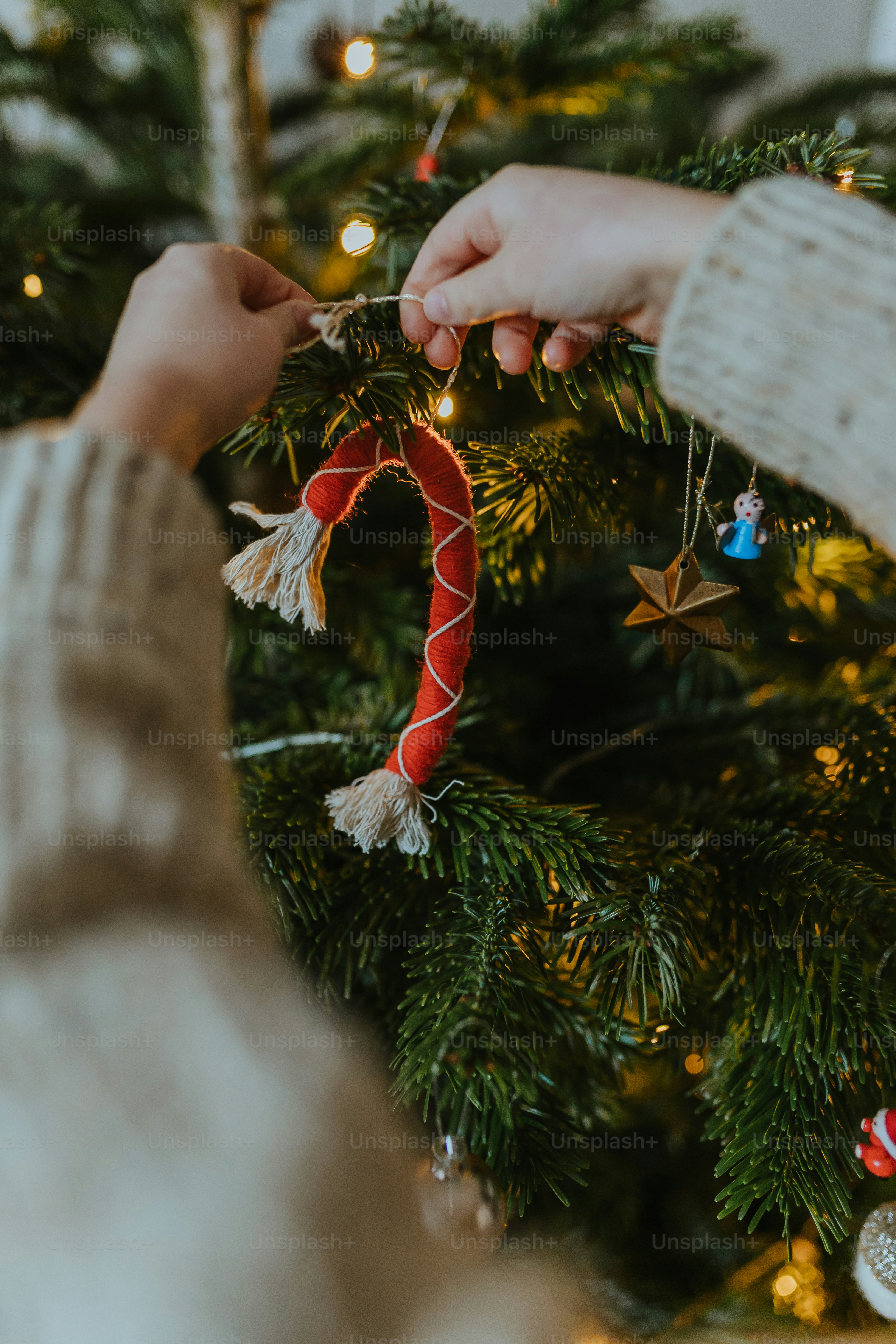 A person decorating a christmas tree with a candy cane photo ...