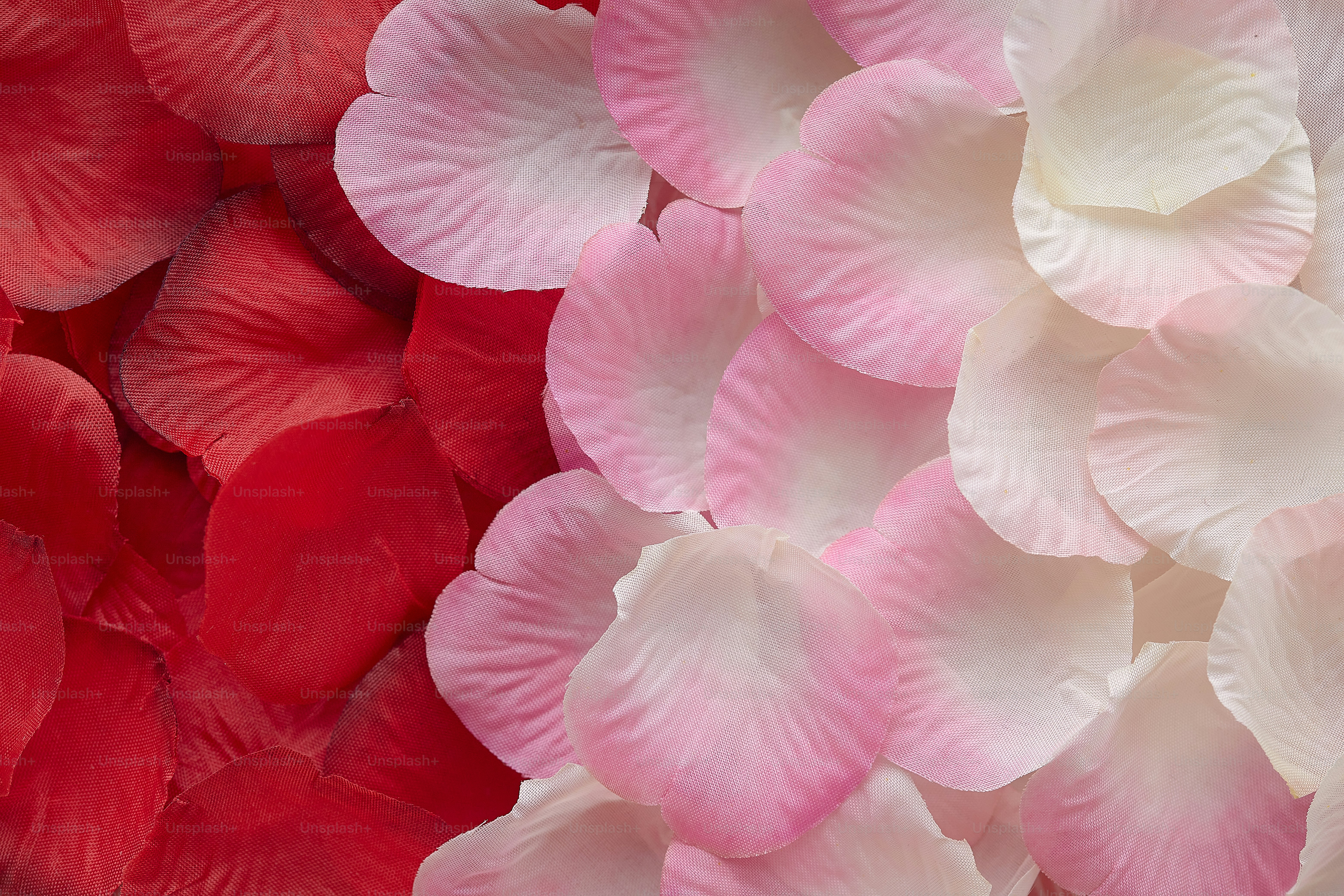 Un bouquet de fleurs roses et blanches sur fond rouge photo – Rosas ...