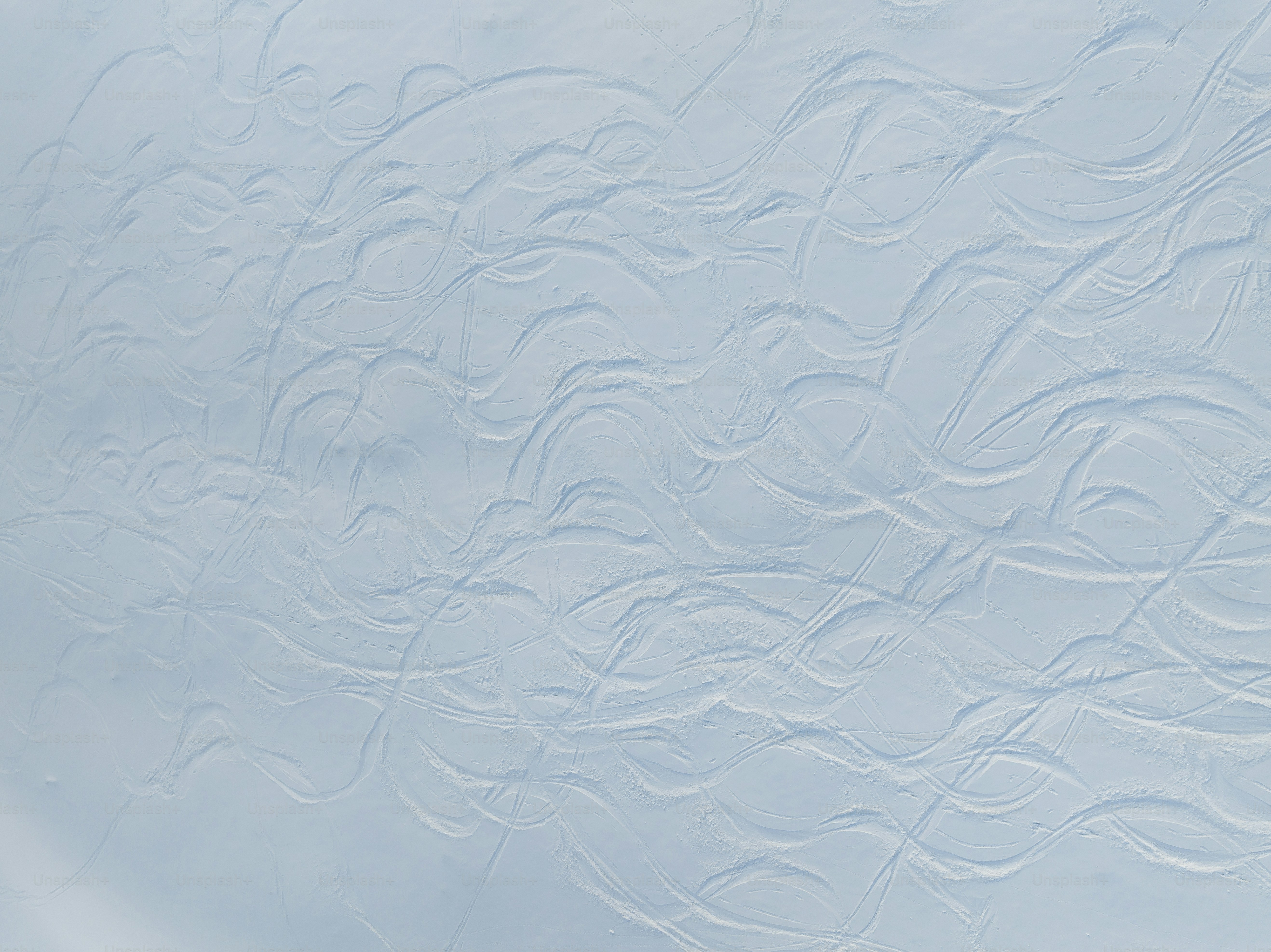 Plain White Background Pictures | Download Free Images on Unsplash