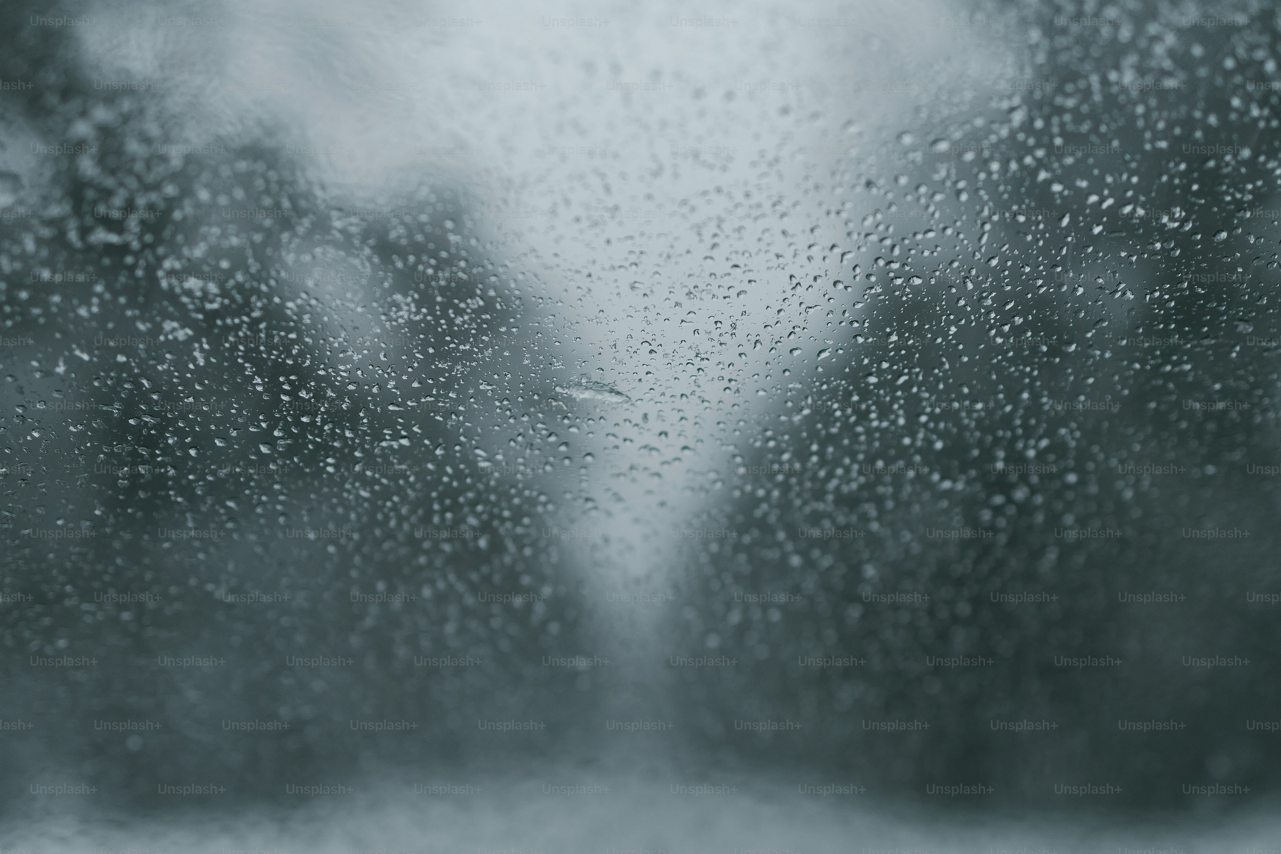 Rain drops on a window with trees in the background photo – Winter ...