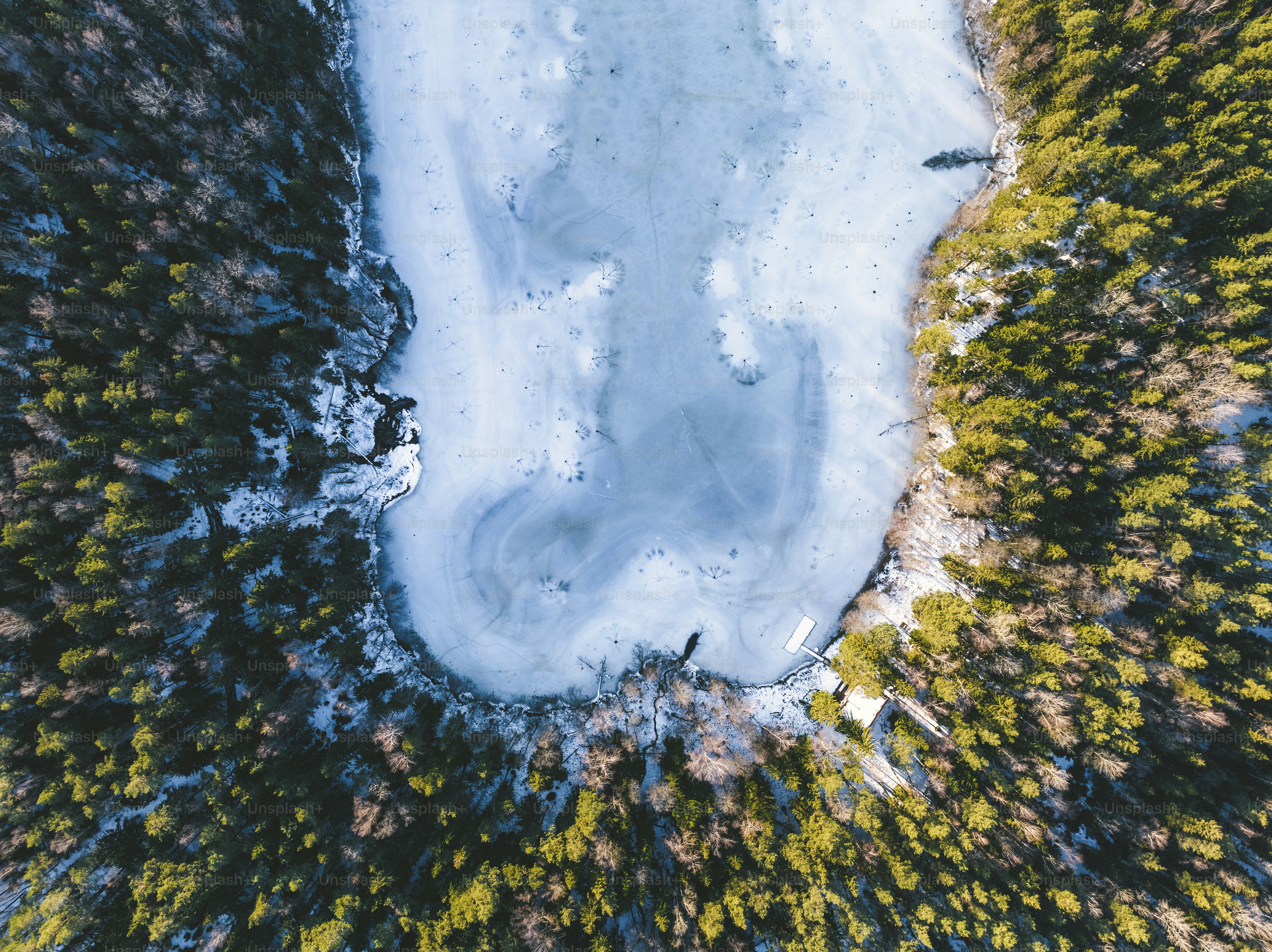 1K+ Natural Environment Pictures | Download Free Images on Unsplash
