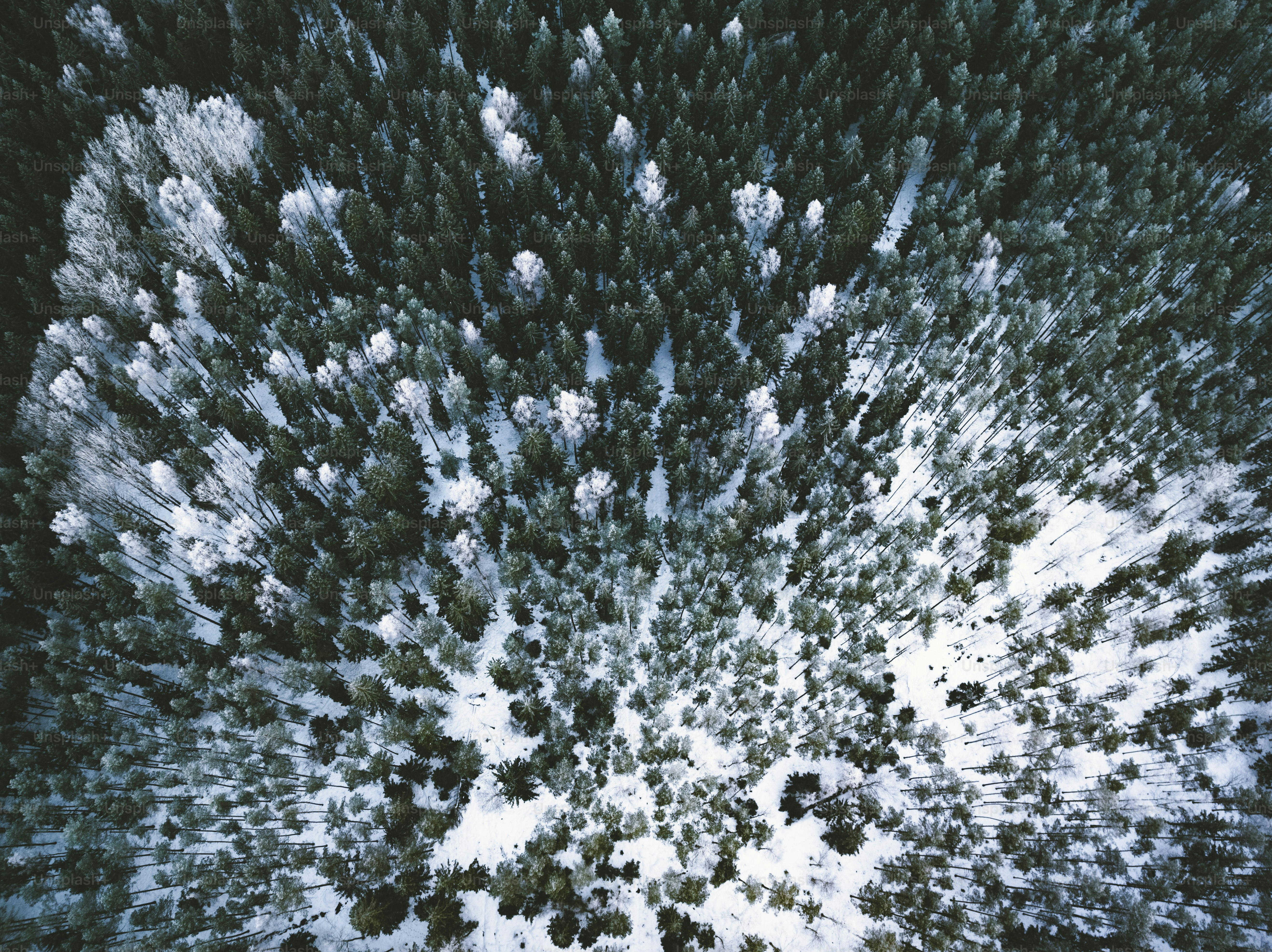 An aerial view of a snow covered area photo – Outdoors Image on Unsplash