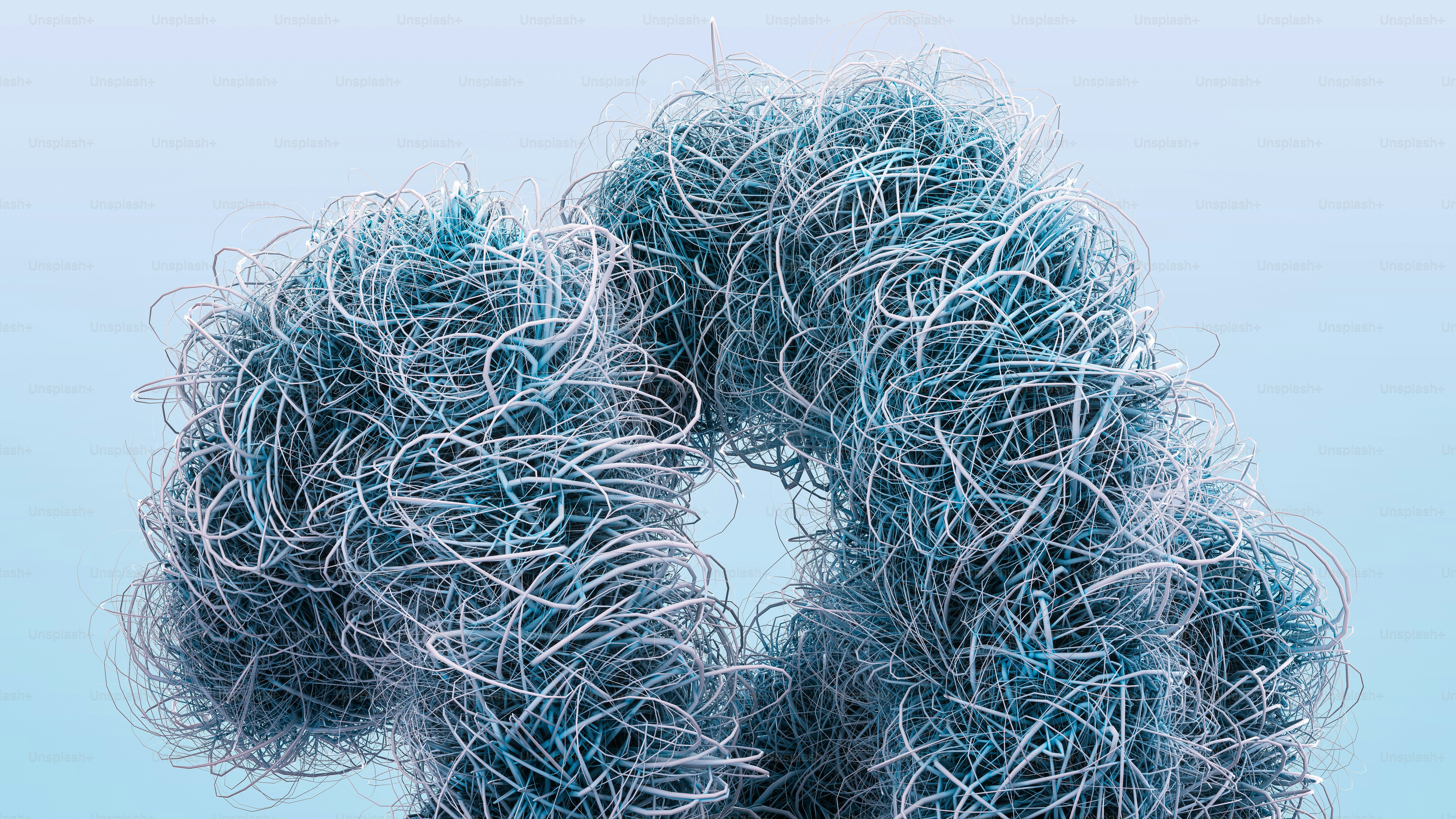 Entangled Pictures | Download Free Images on Unsplash