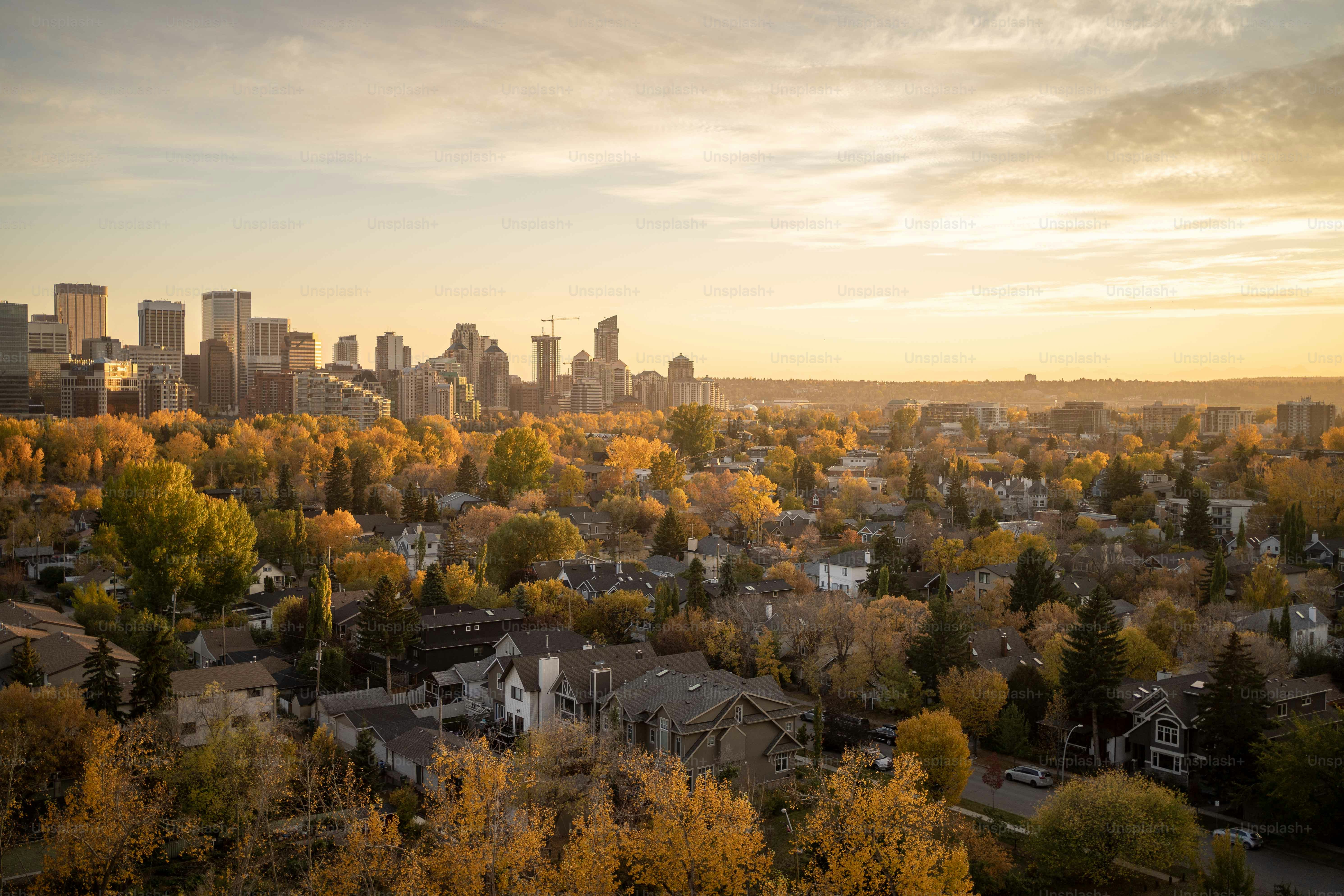 100+ Calgary Pictures | Download Free Images on Unsplash