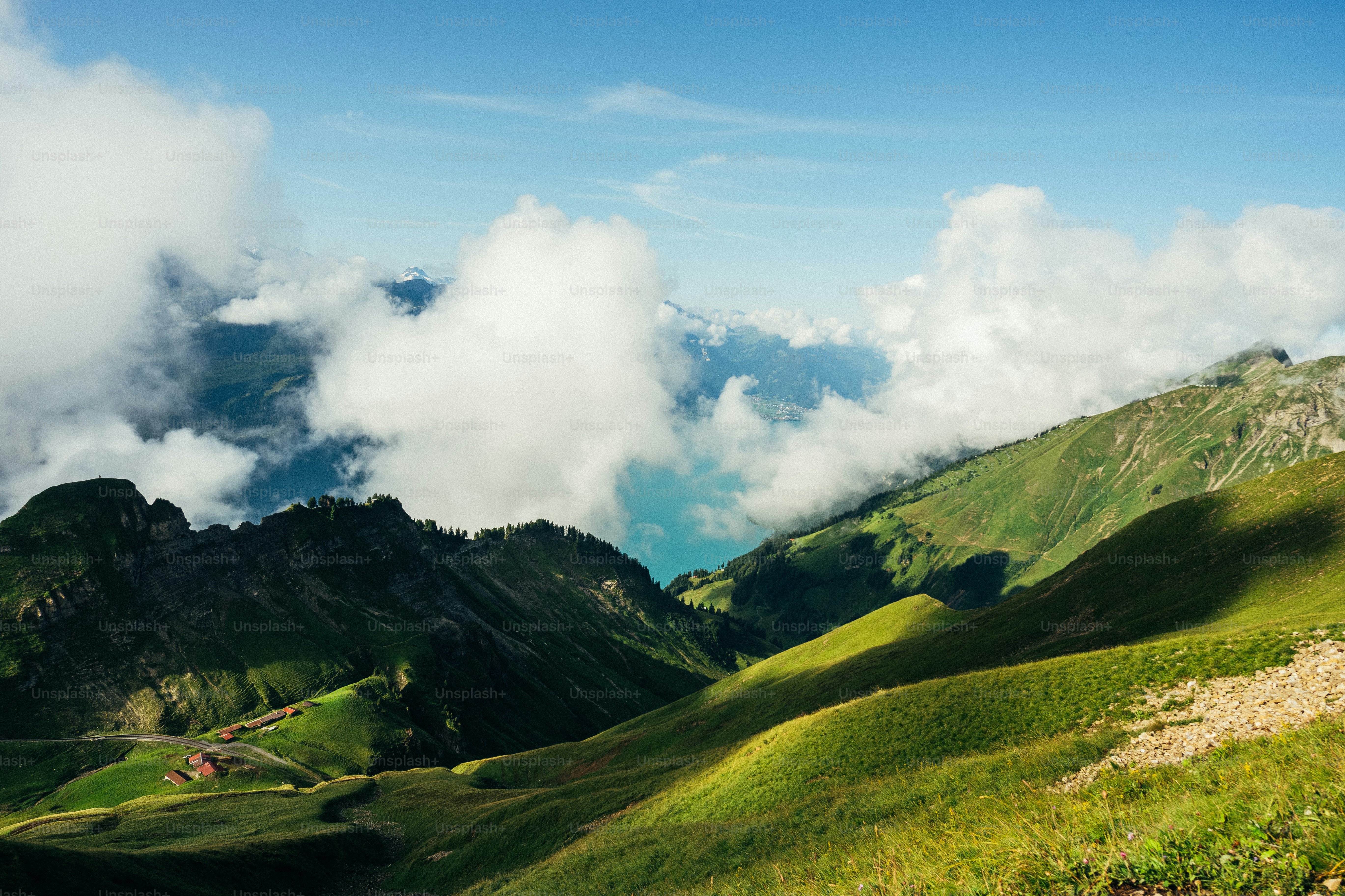 Gambar Polos | Unduh Gambar Gratis di Unsplash