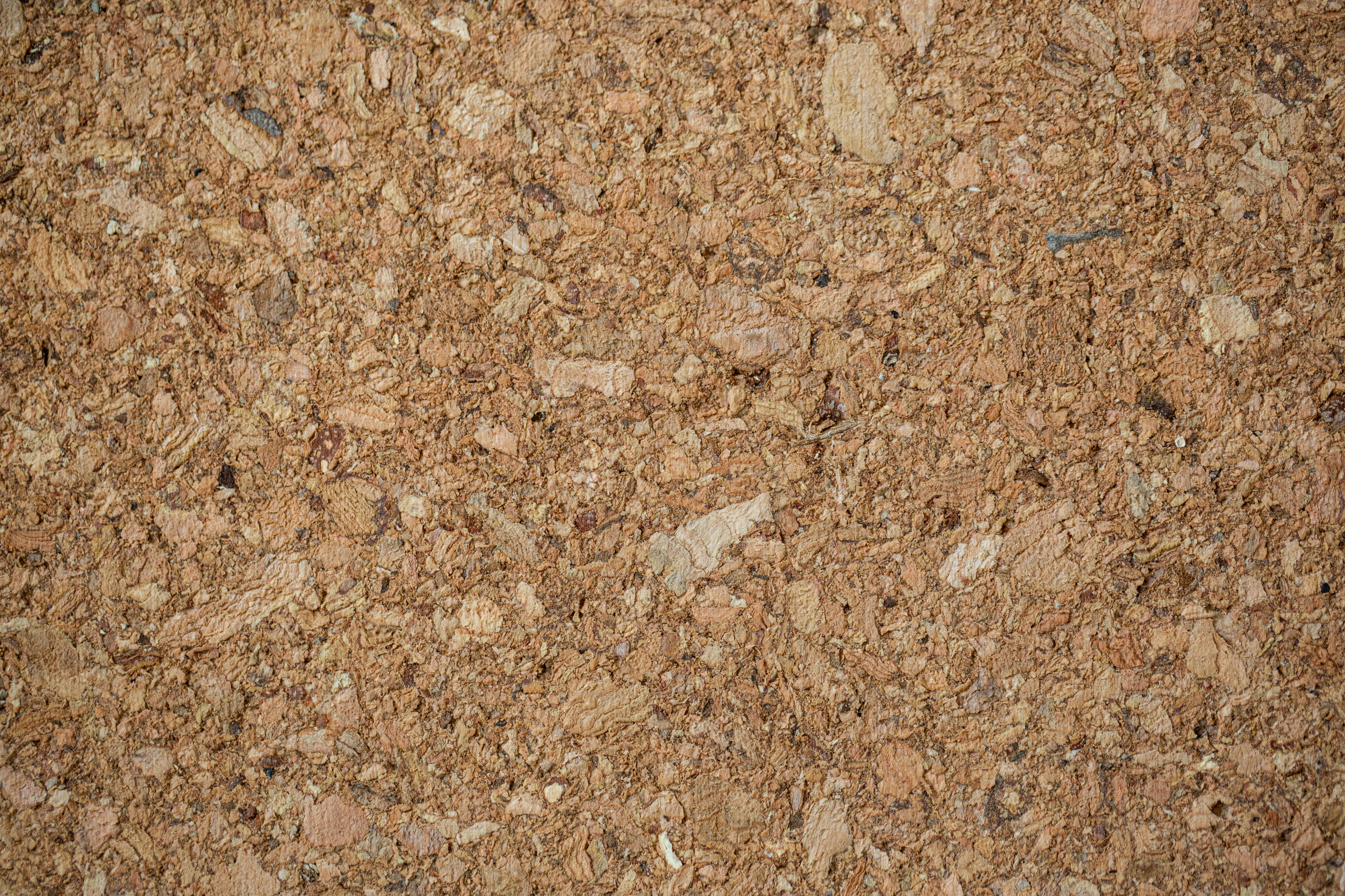 Cork Board Pictures | Download Free Images on Unsplash