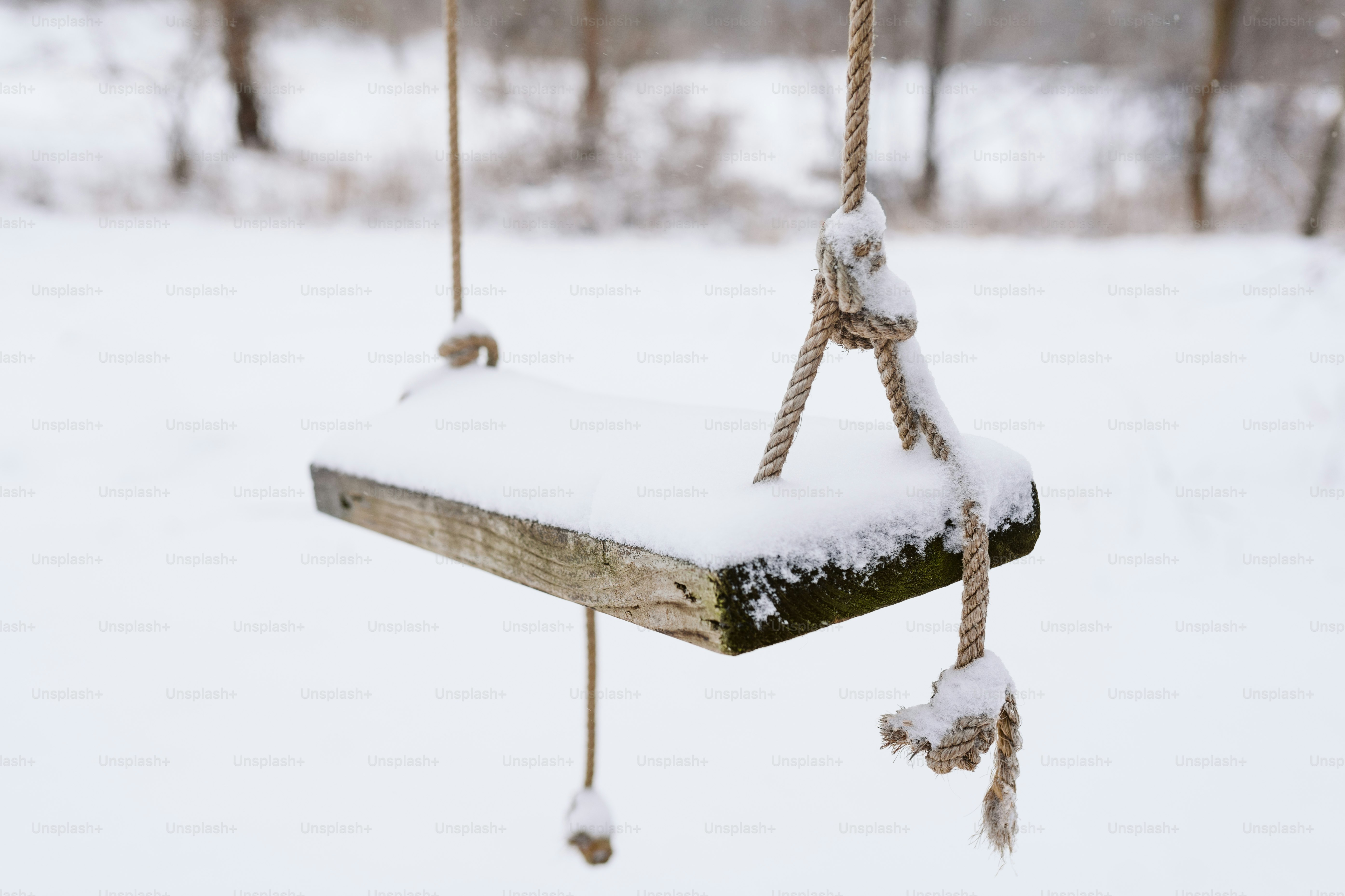 Rope Swing Pictures | Download Free Images on Unsplash