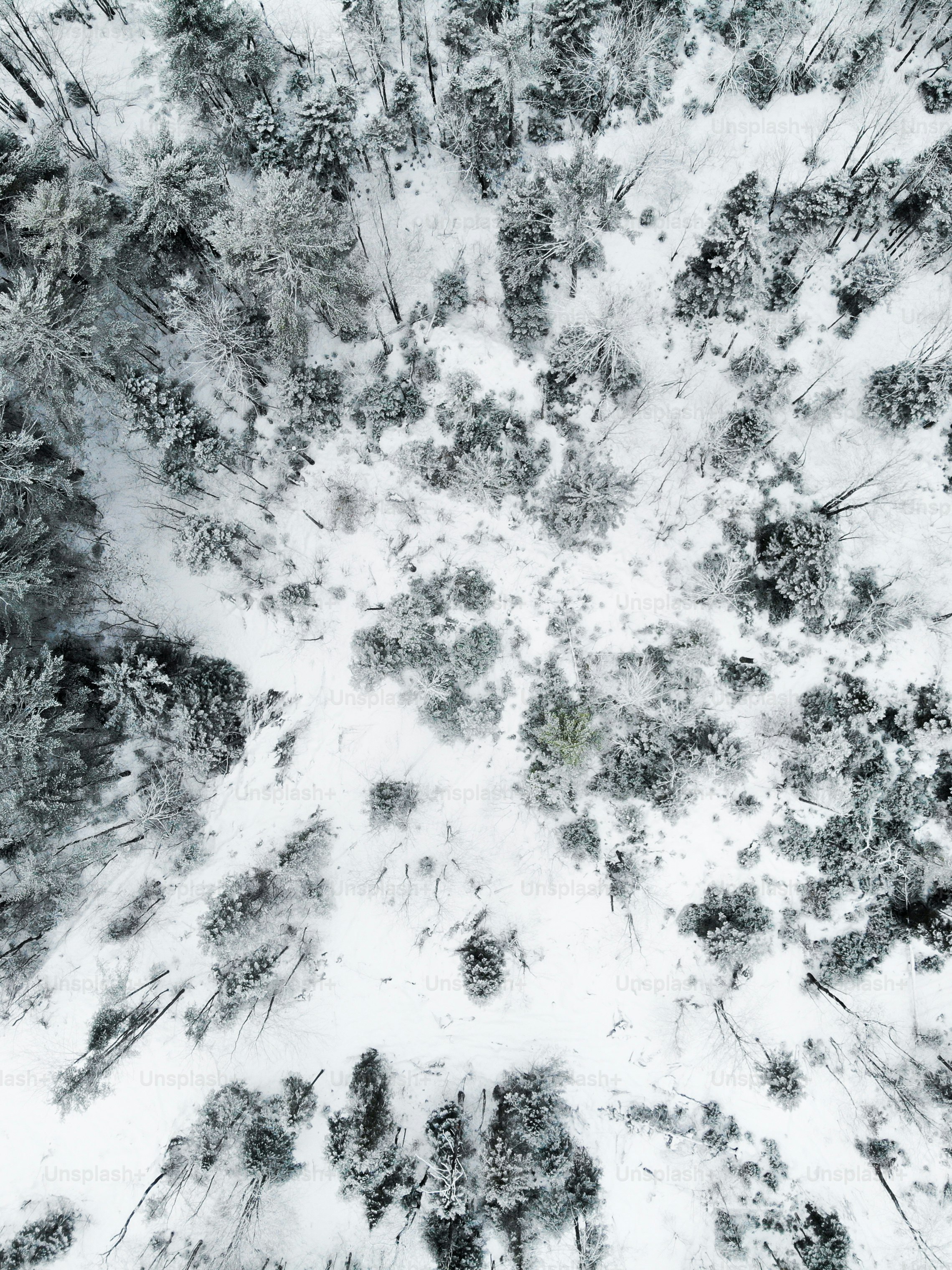 An aerial view of a snow covered forest photo – Wintery Image on Unsplash