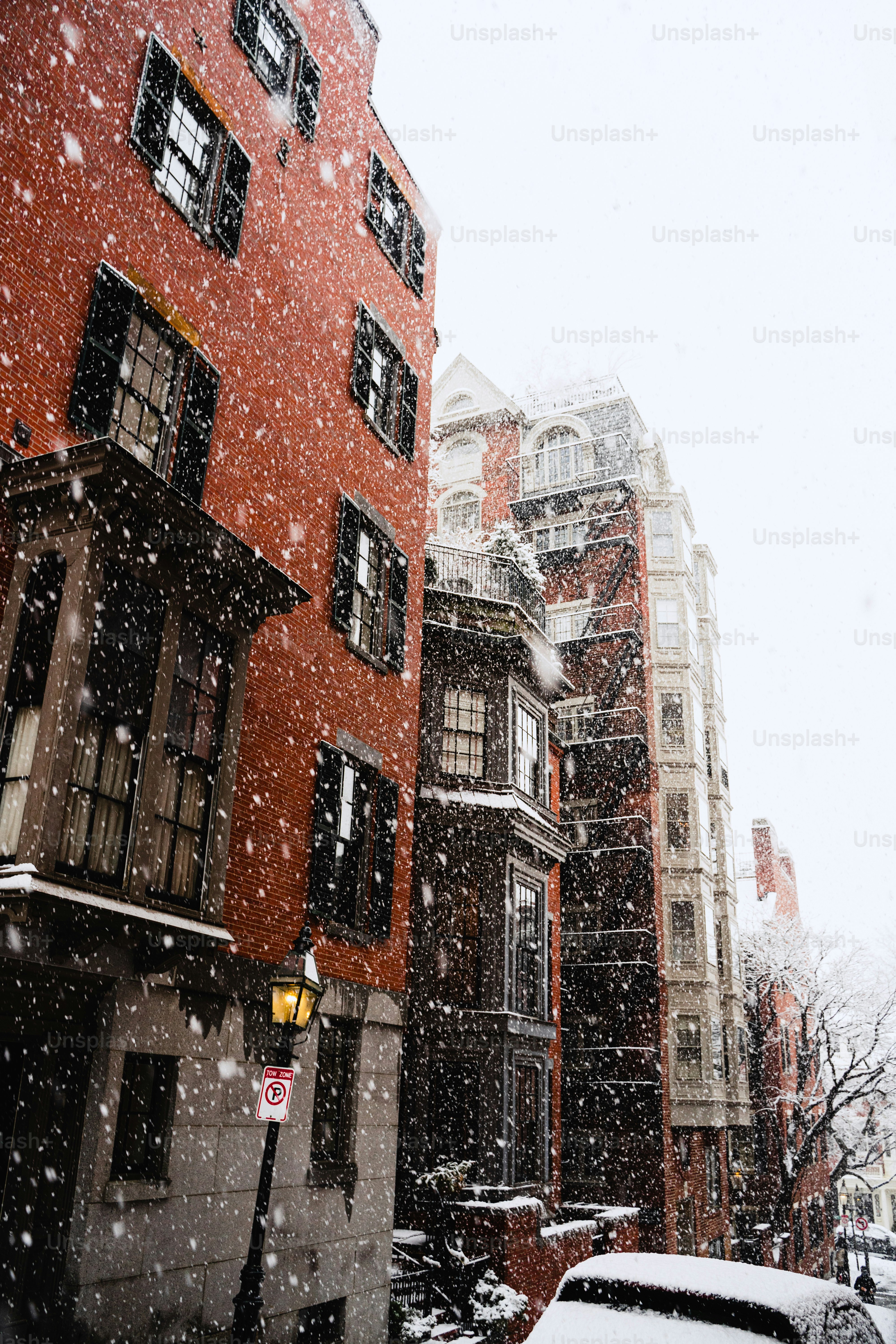 Snowy City Pictures | Download Free Images on Unsplash