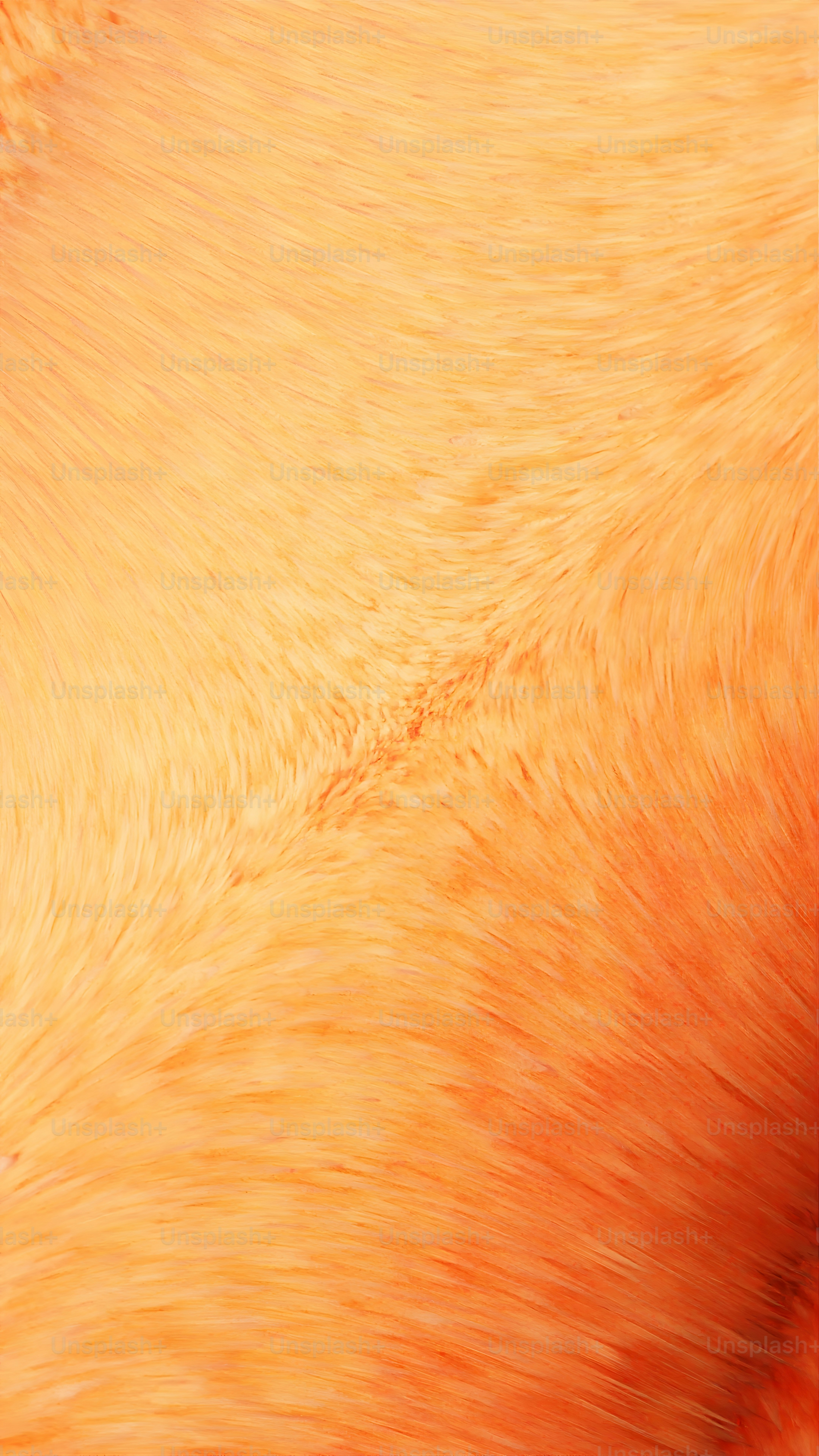 A close up of a furry animal's fur photo – 3d render Image on Unsplash