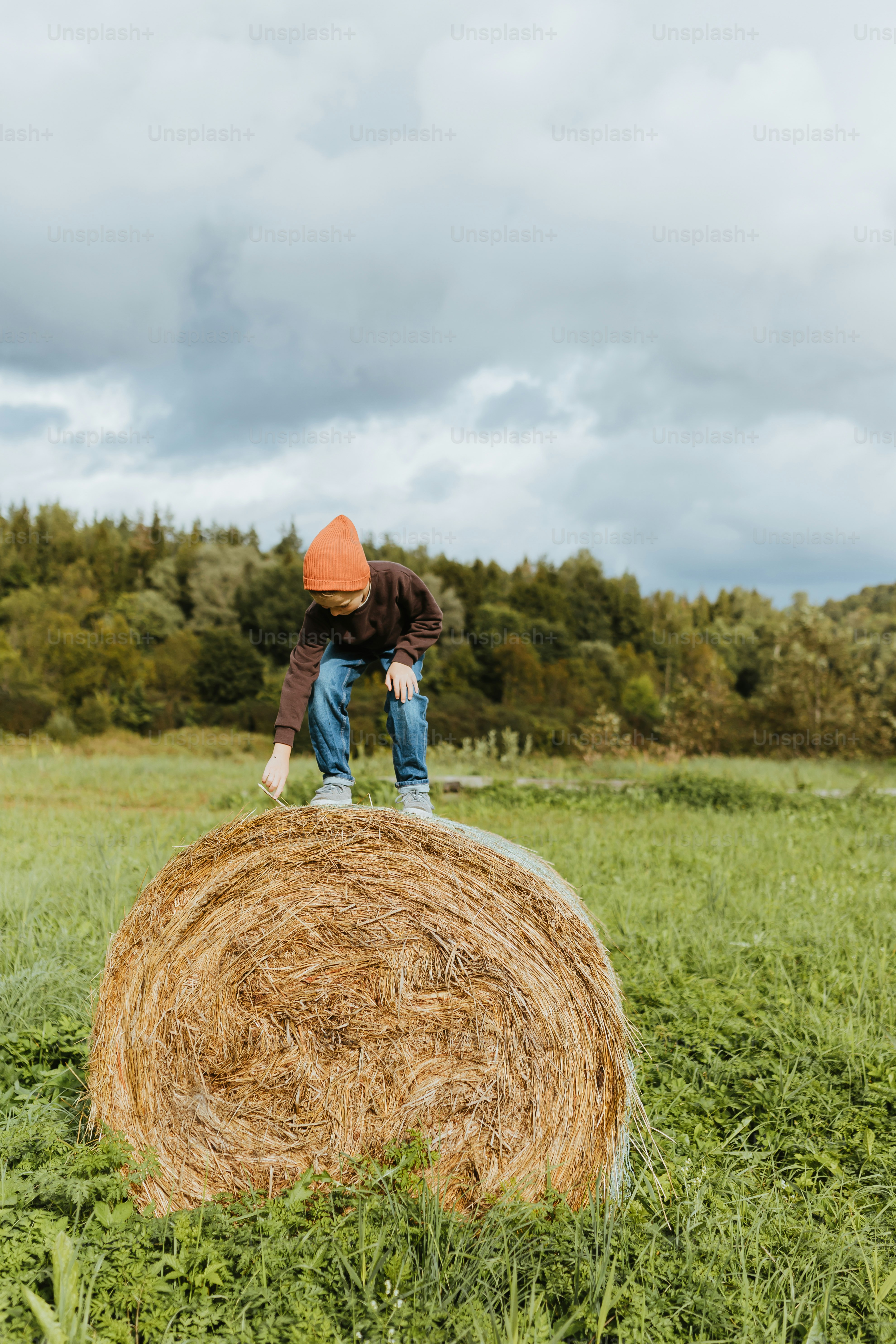 A person standing on top of a hay bale in a field photo – Relationship ...