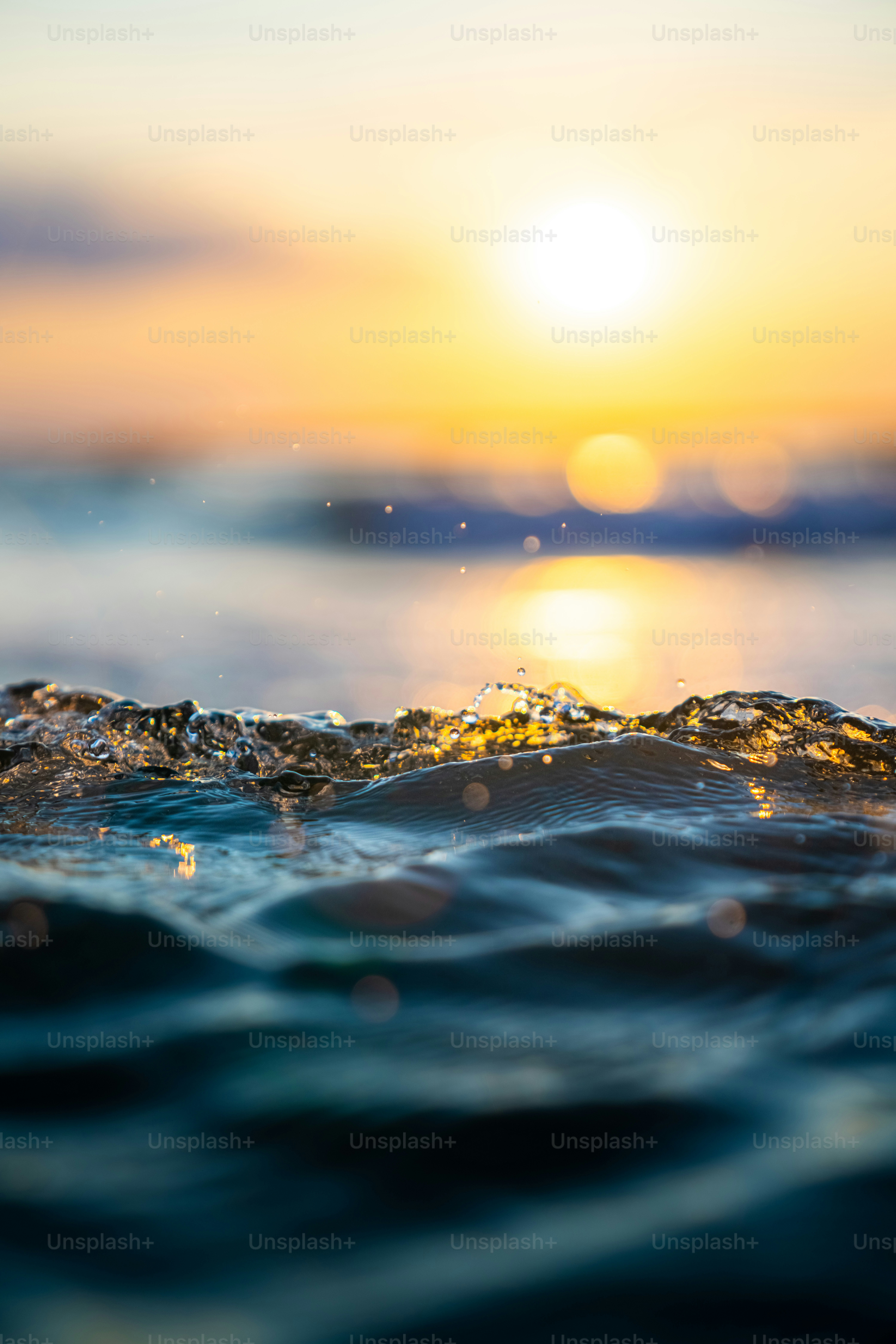 Golden Light Pictures | Download Free Images on Unsplash