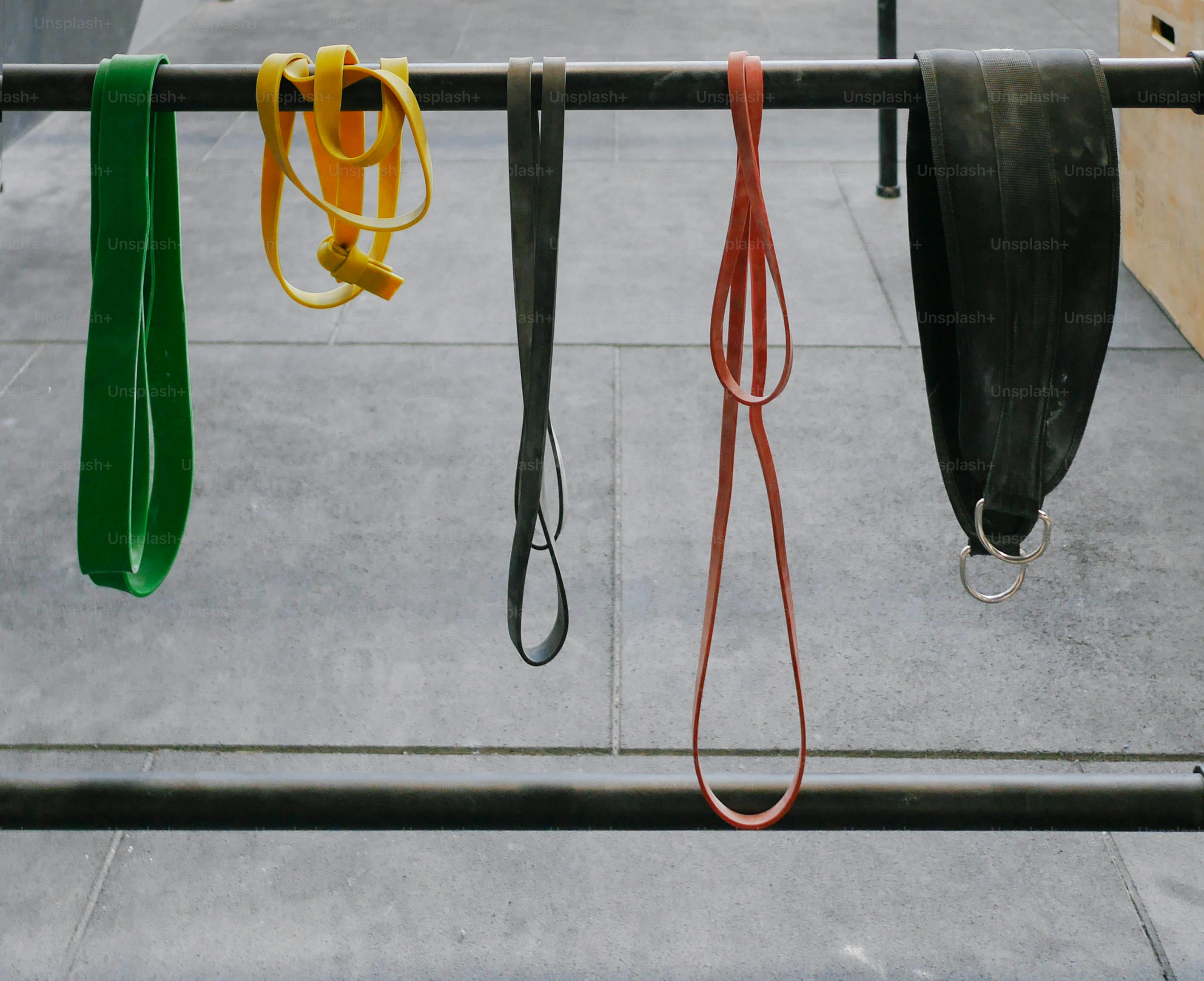 A row of different colored leashes hanging from a metal rail photo ...