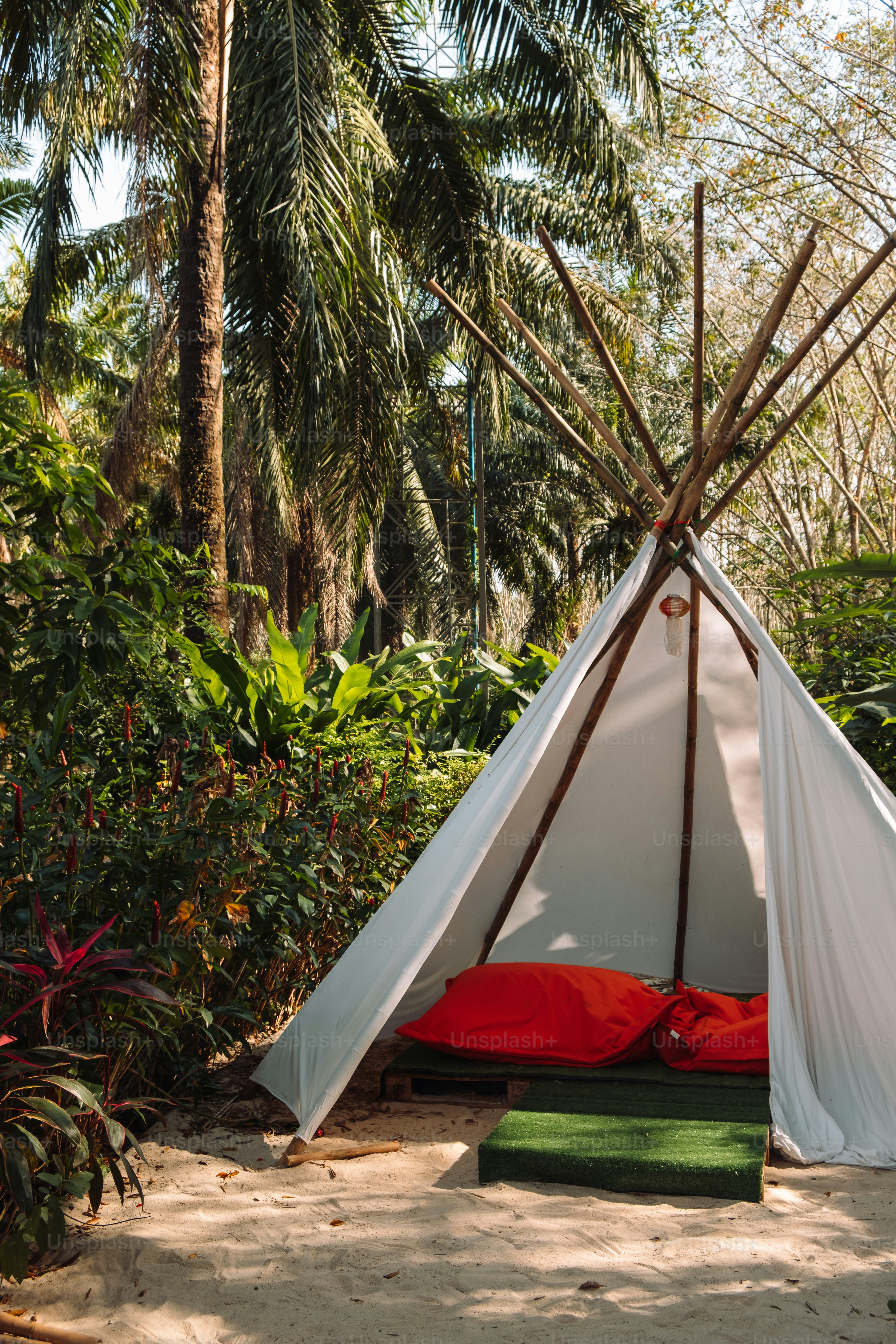 A teepee is set up in the middle of a jungle photo – Tend Image on Unsplash