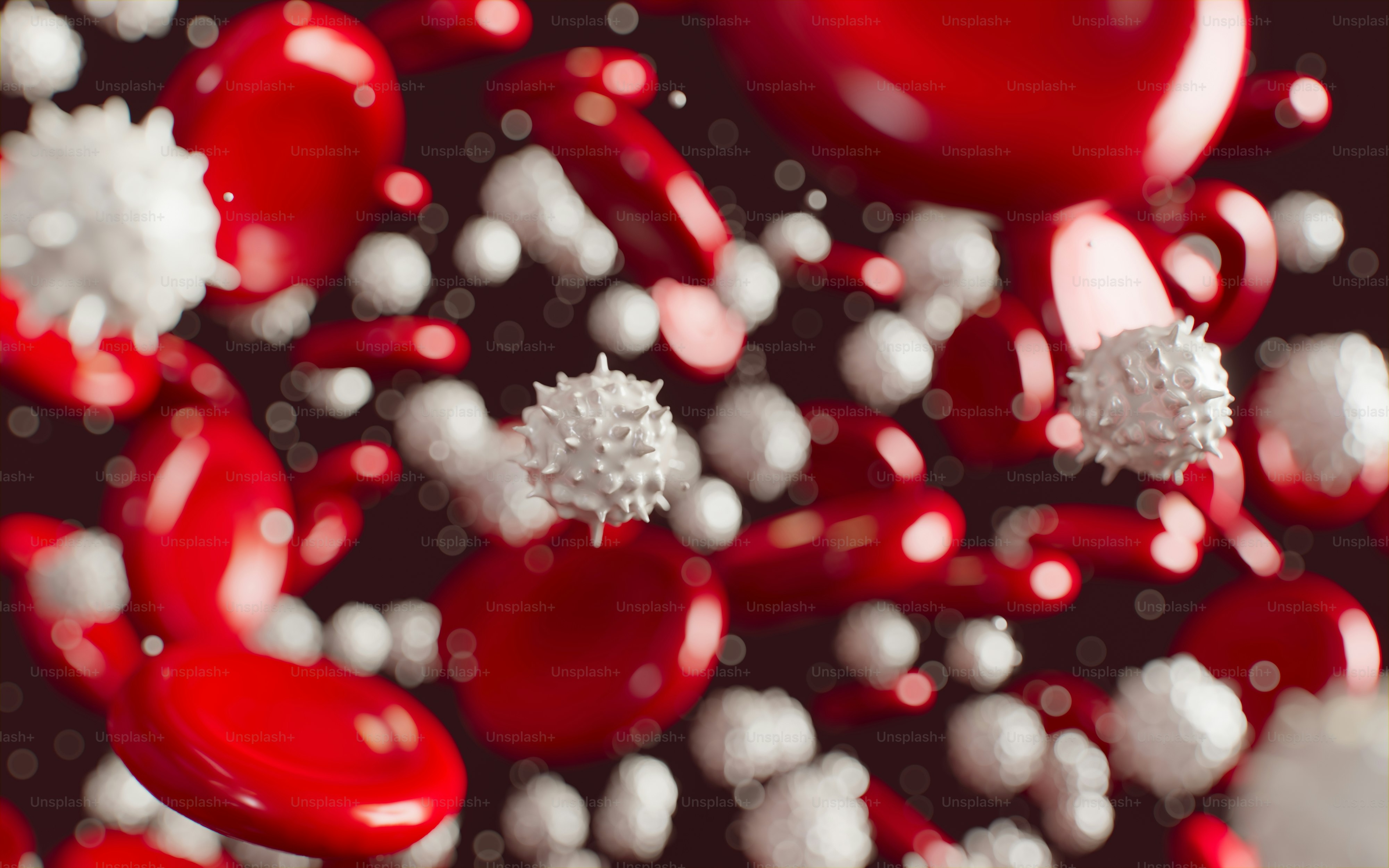 A bunch of red and white balloons floating in the air photo ...
