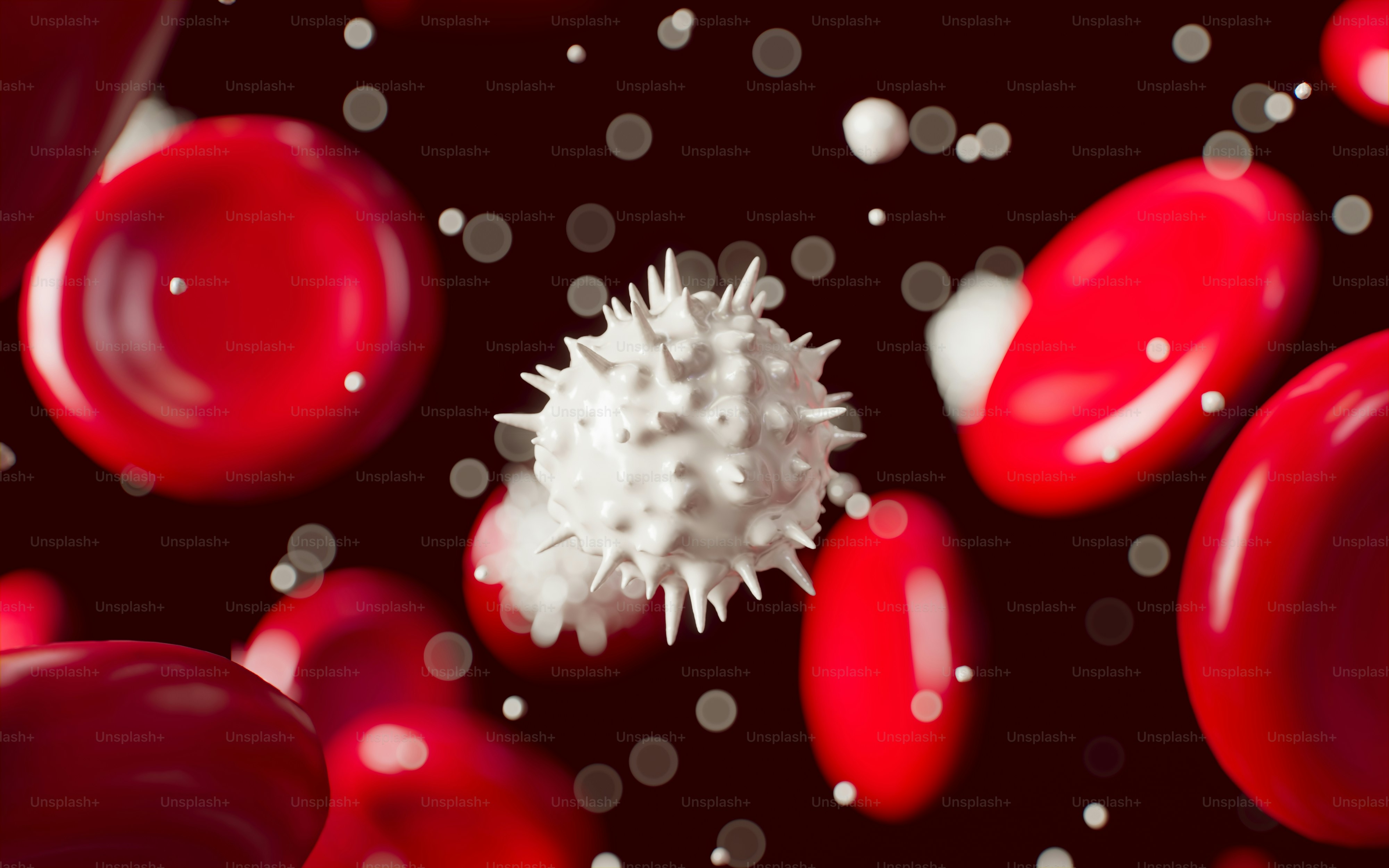 A close up of a red and white substance photo – Cancer Image on Unsplash