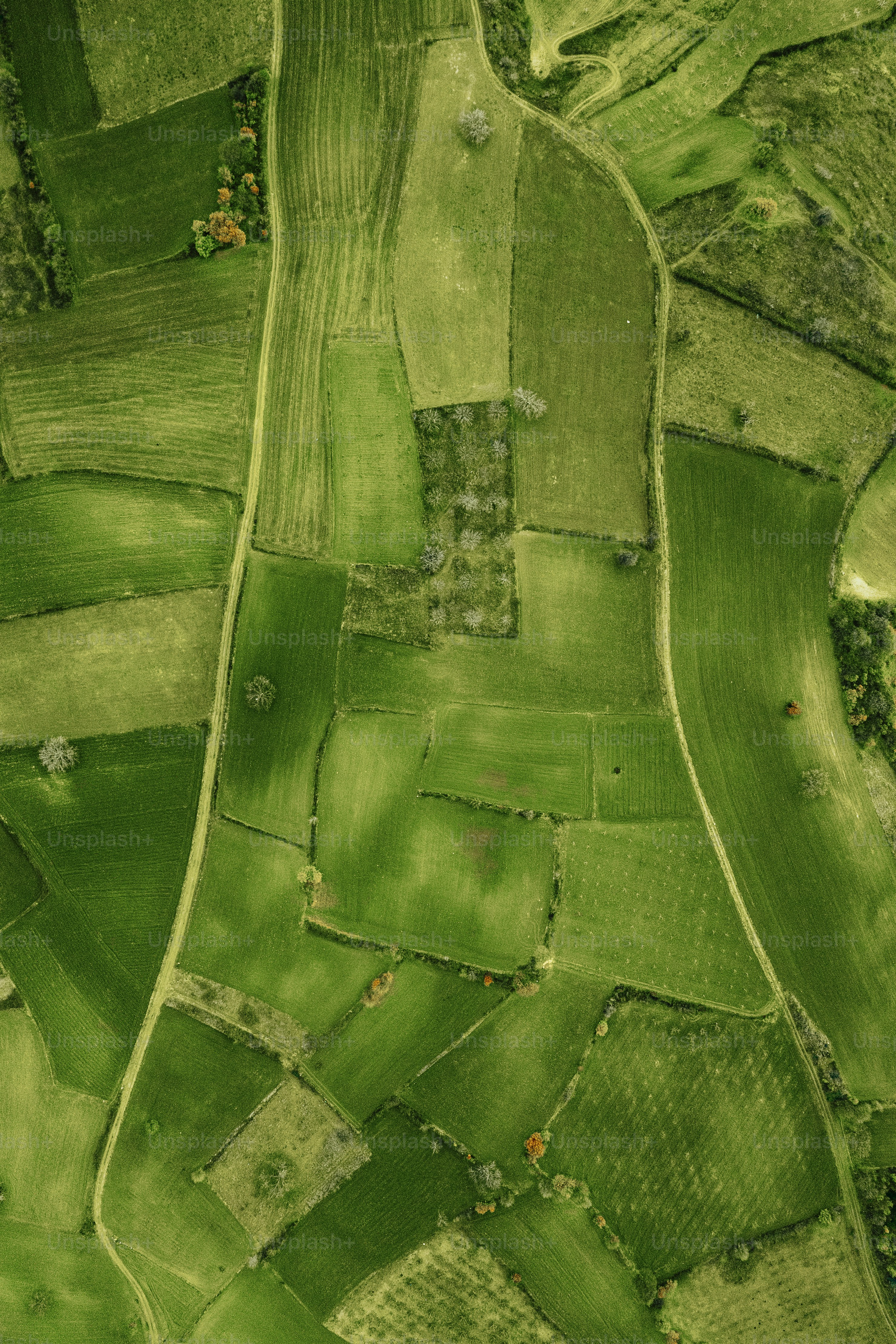 An aerial view of a lush green field photo – Rural Image on Unsplash
