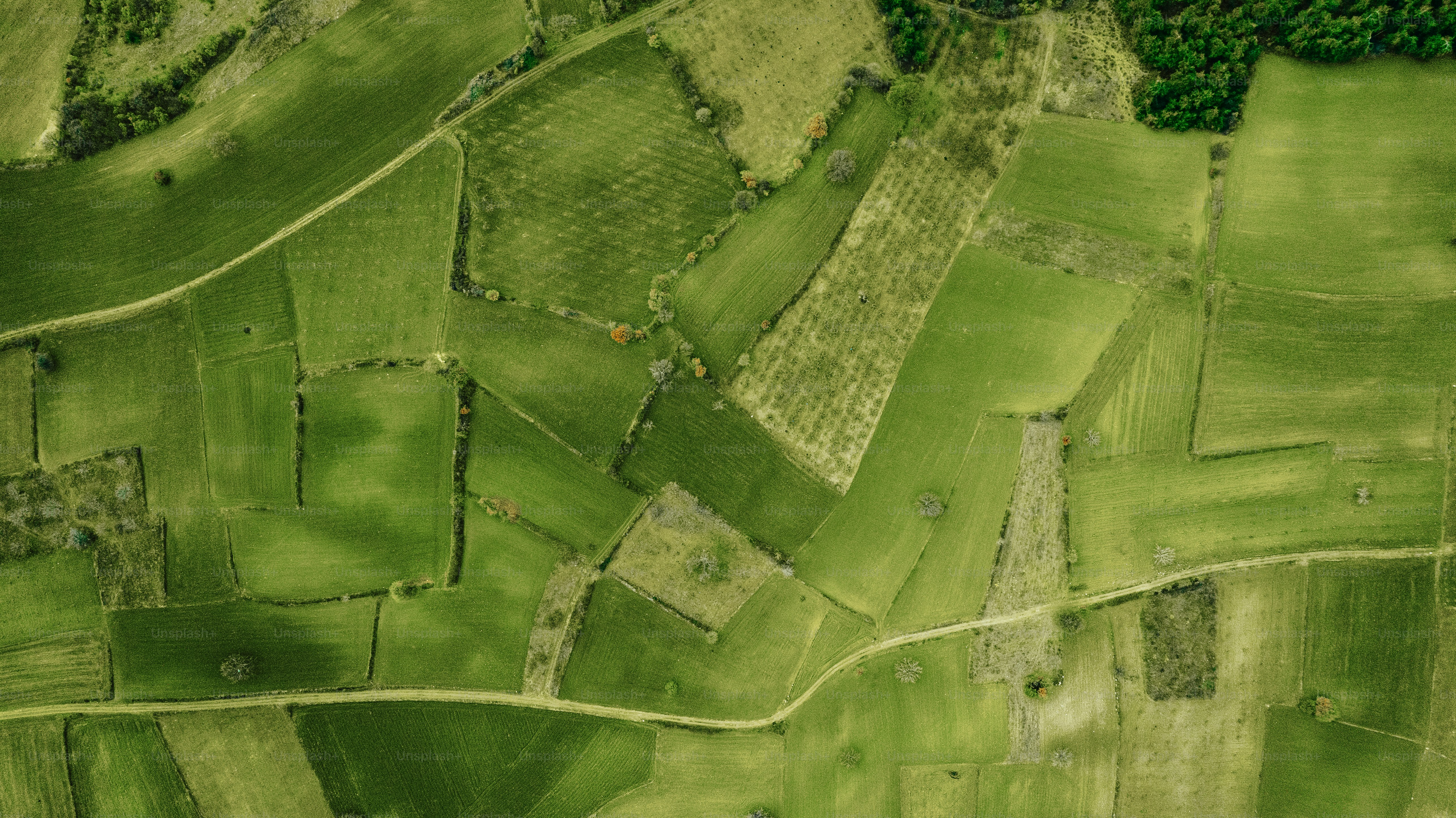 An aerial view of a green field with trees photo – Backgrounds Image on ...