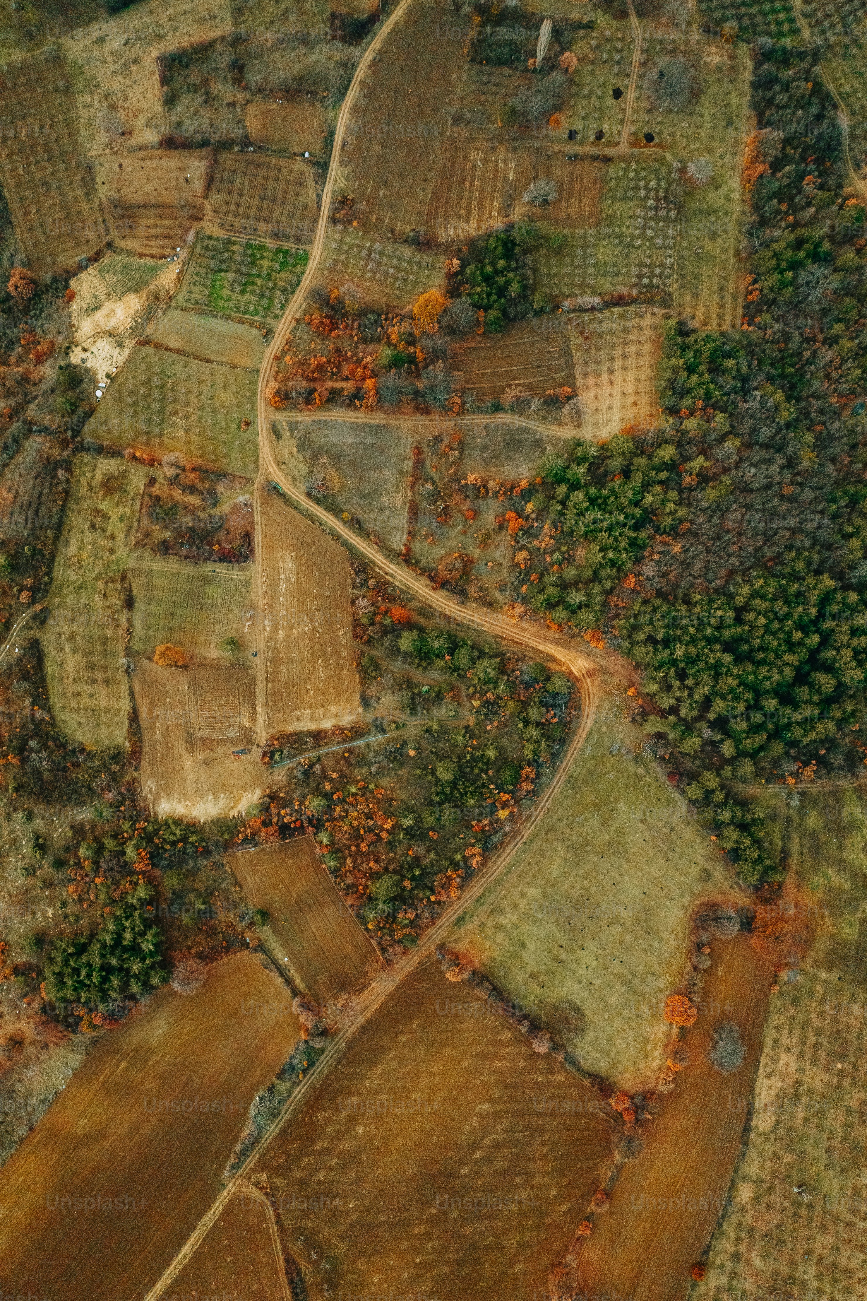 An aerial view of a rural area with lots of trees photo – Backgrounds ...