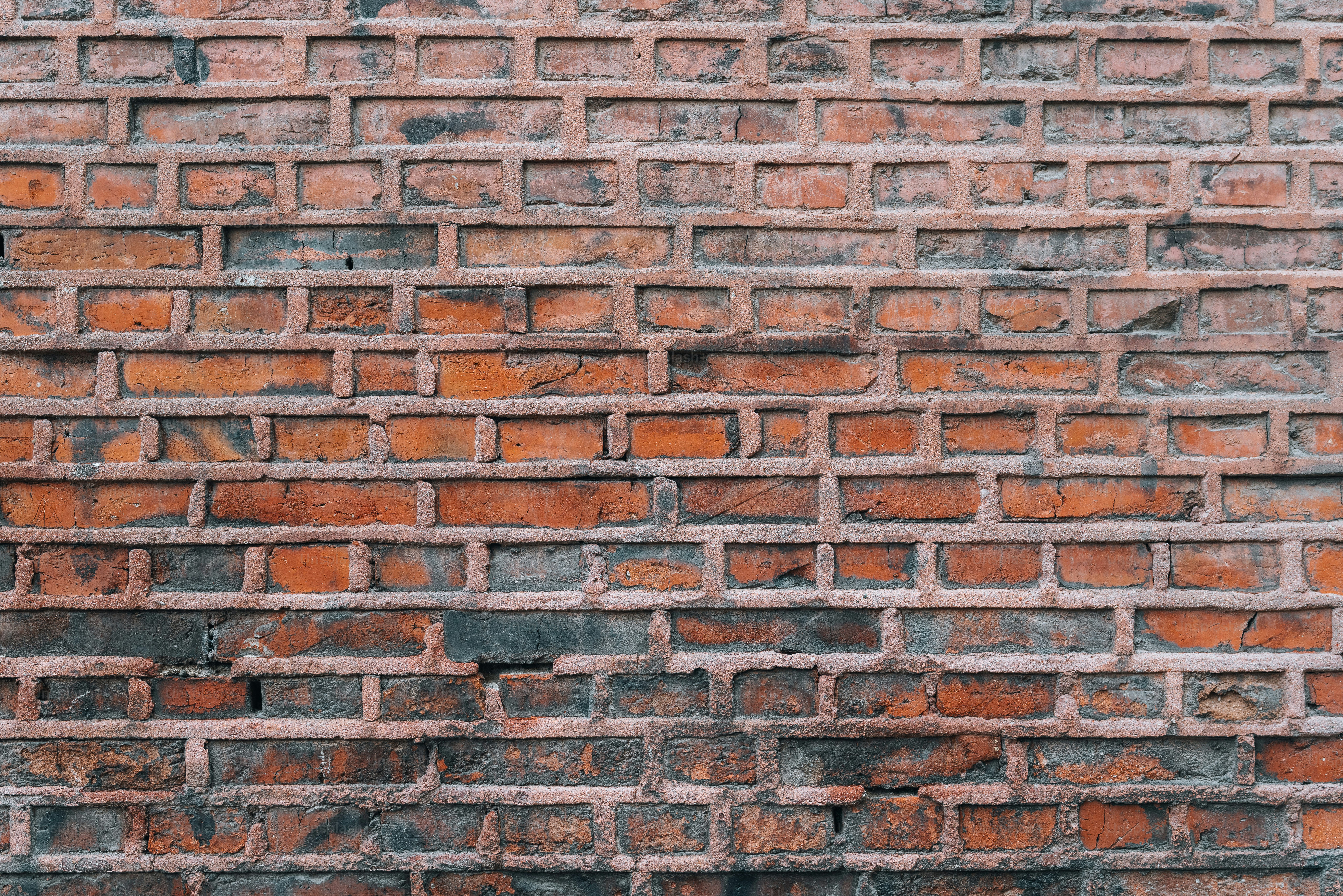 A close up of a brick wall made of bricks photo – Sofia Image on Unsplash