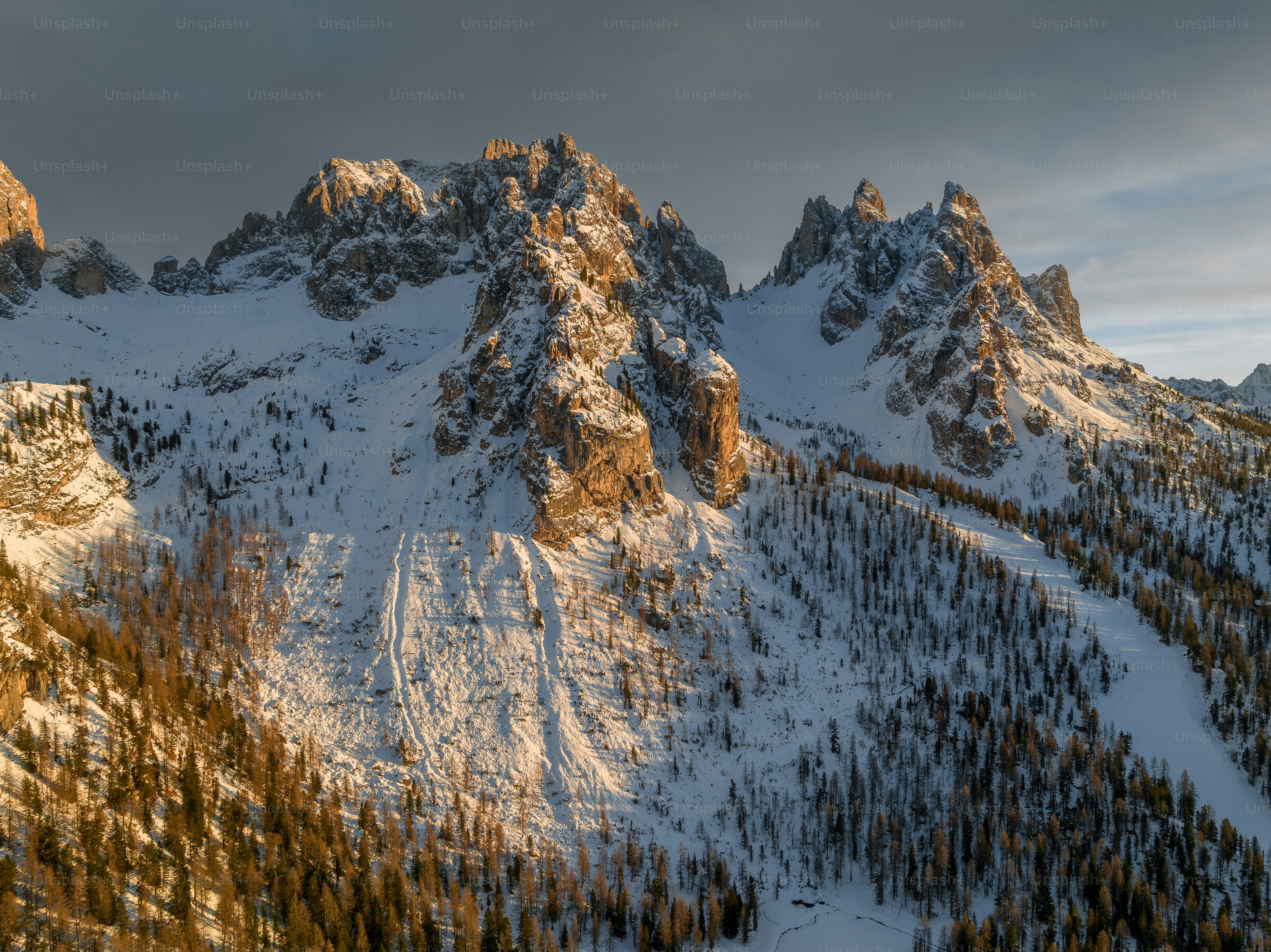 A snow covered mountain range with trees in the foreground photo ...