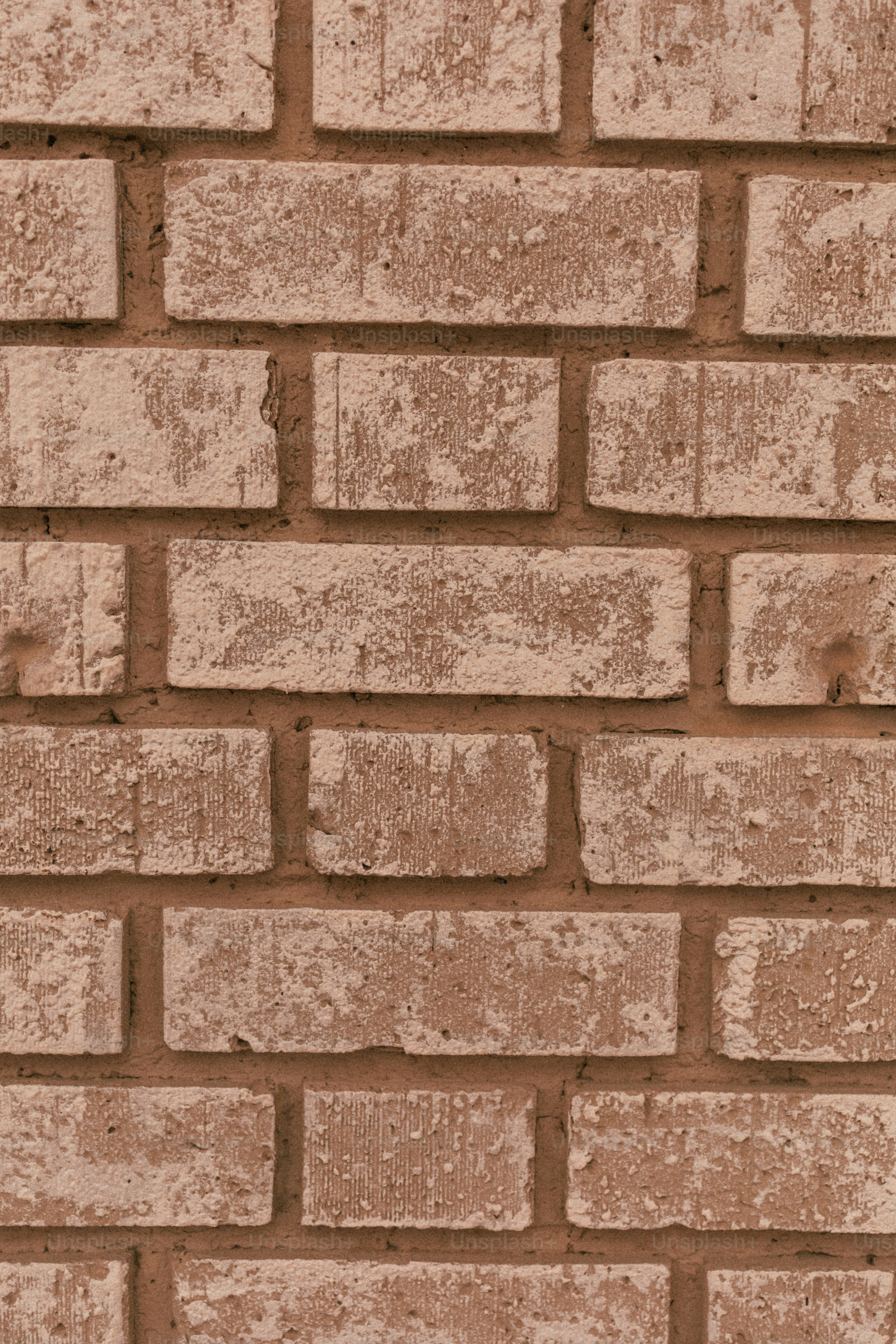 A close up of a brick wall made of bricks photo – Brick wall texture ...