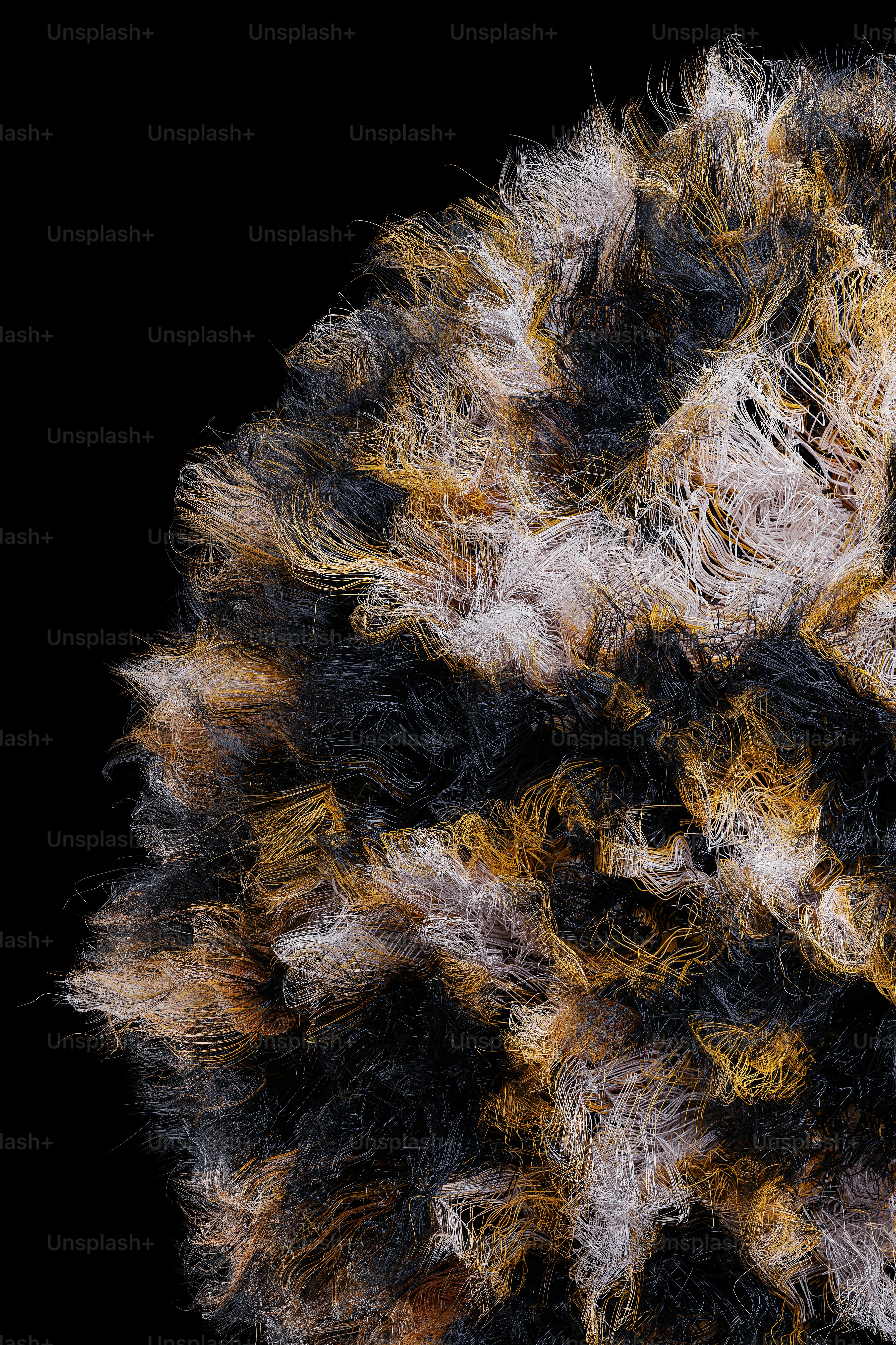 A close up of a fuzzy object with a black background photo ...