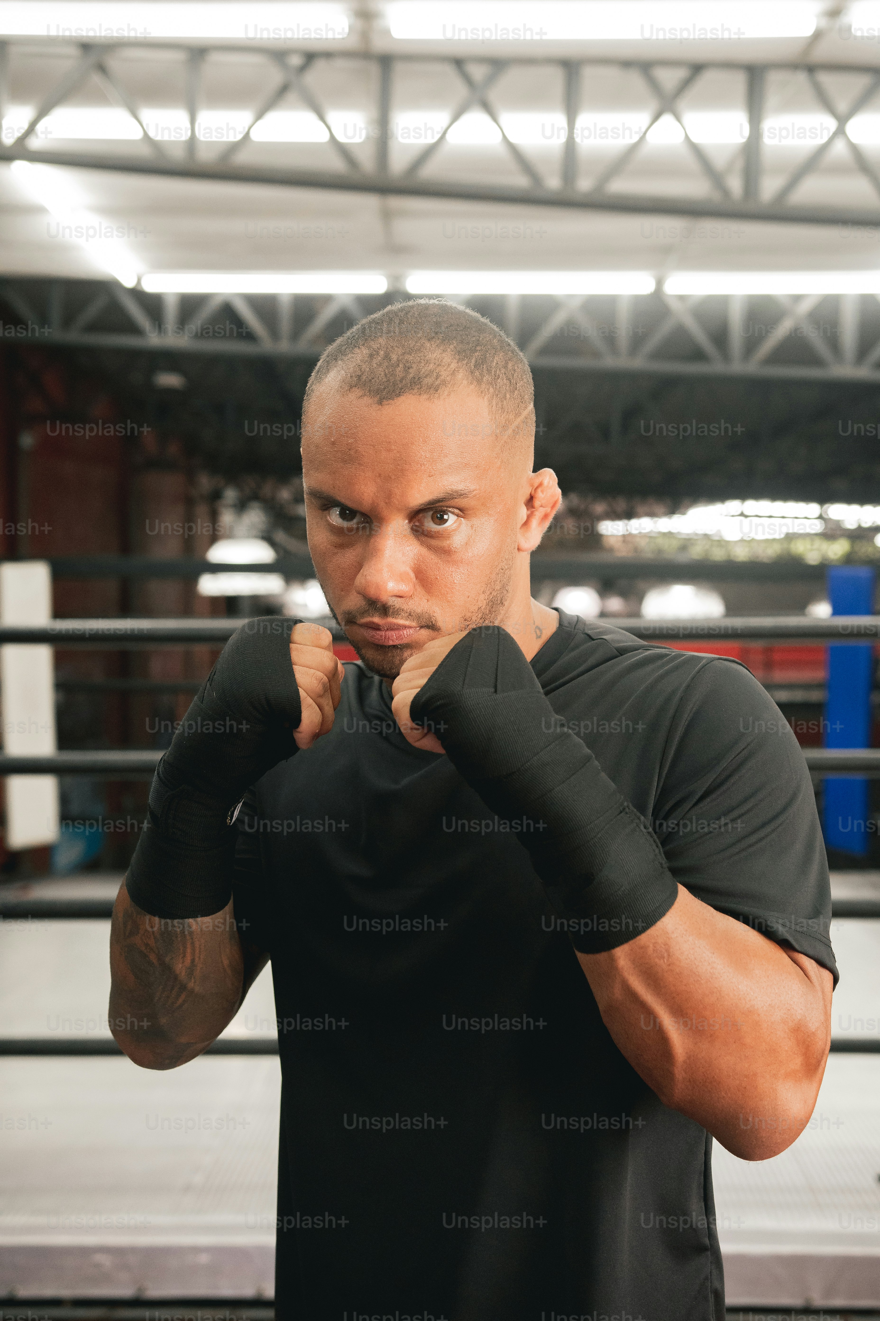 Boxer Pictures | Download Free Images on Unsplash