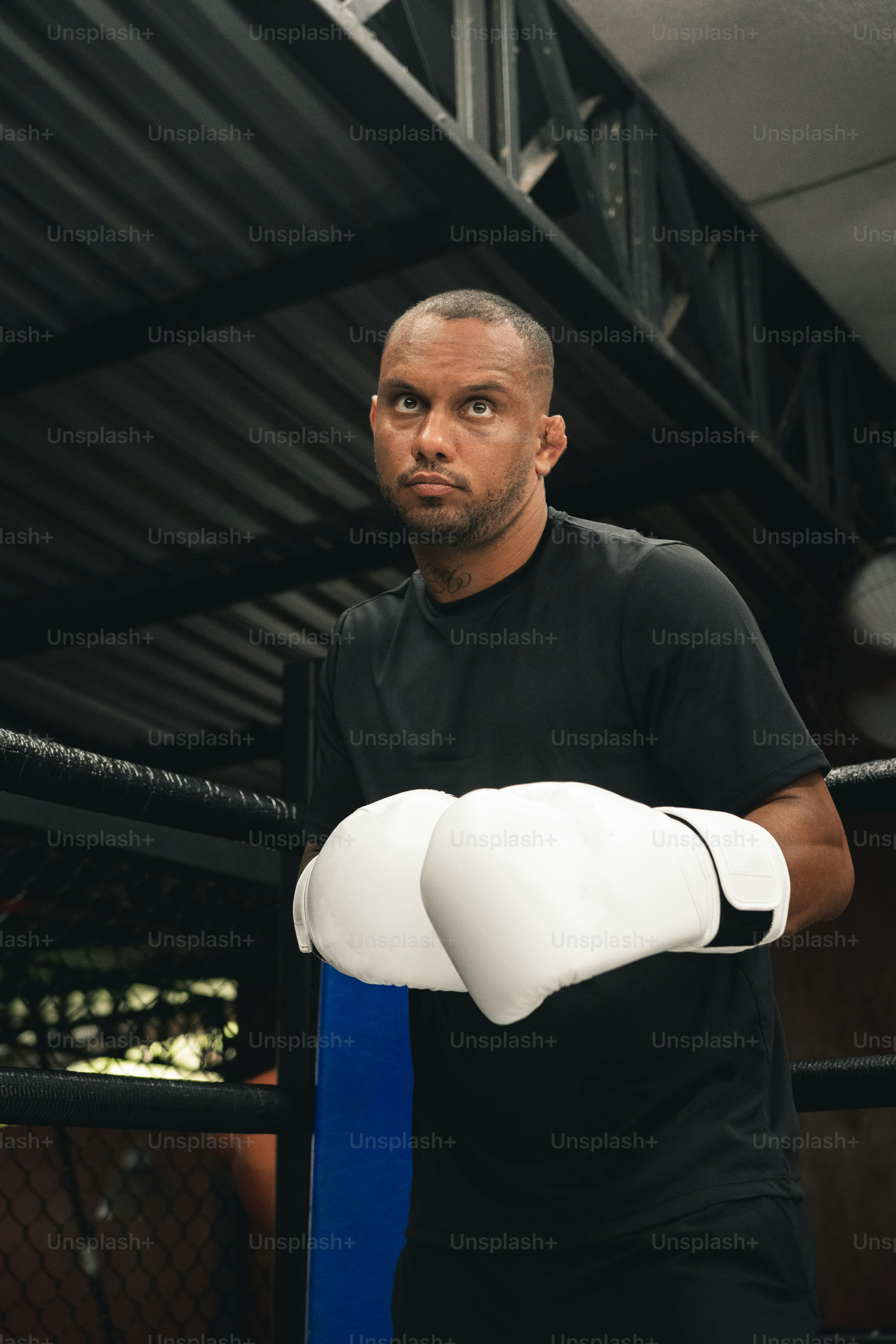A man in a black shirt and white boxing gloves photo – Boxing gloves ...