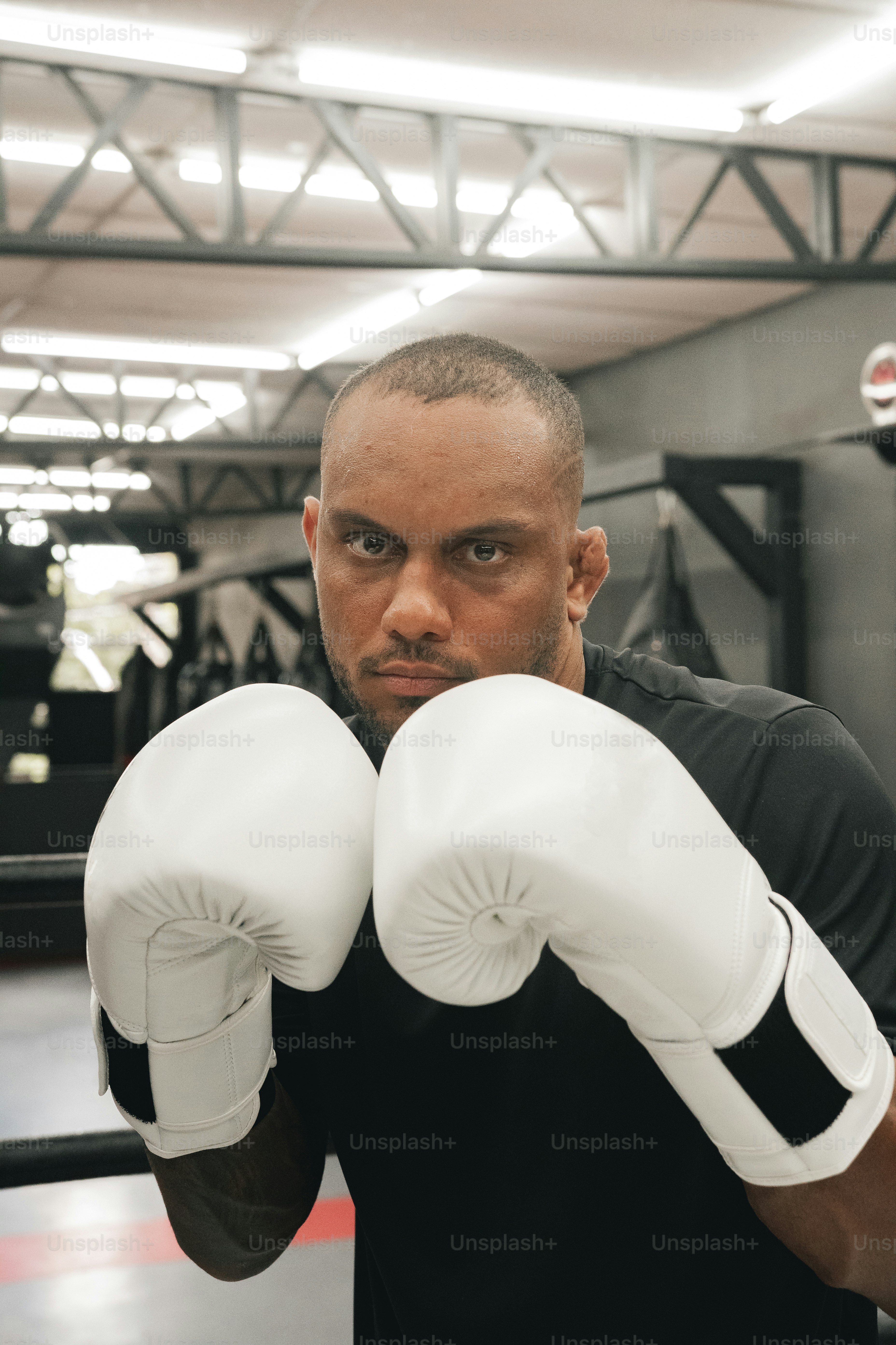 Boxing Man Pictures | Download Free Images on Unsplash
